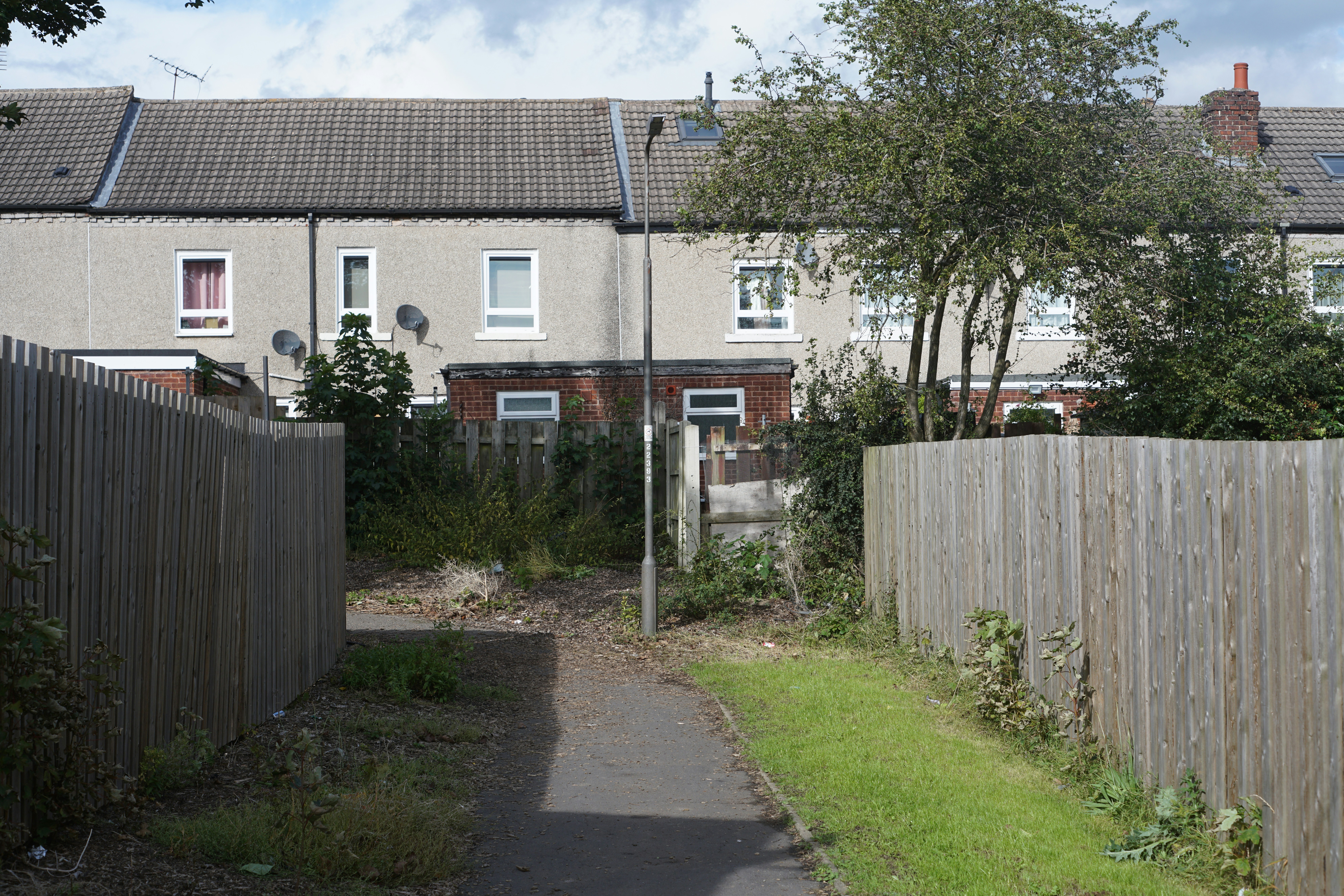 Quiet Path to a Row of Homes