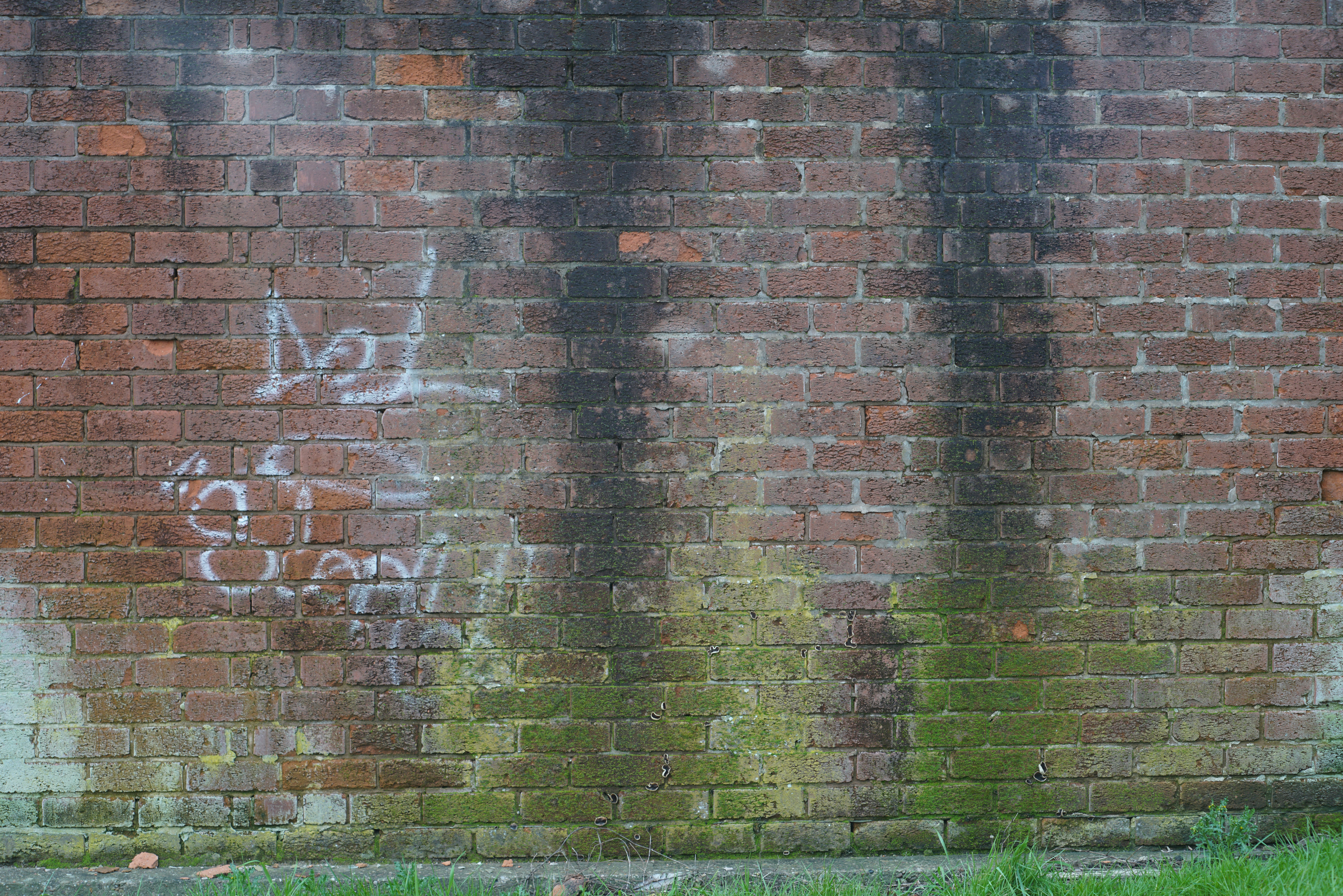 Graffitied Brick Wall with Weathered Moss at the Ground Line