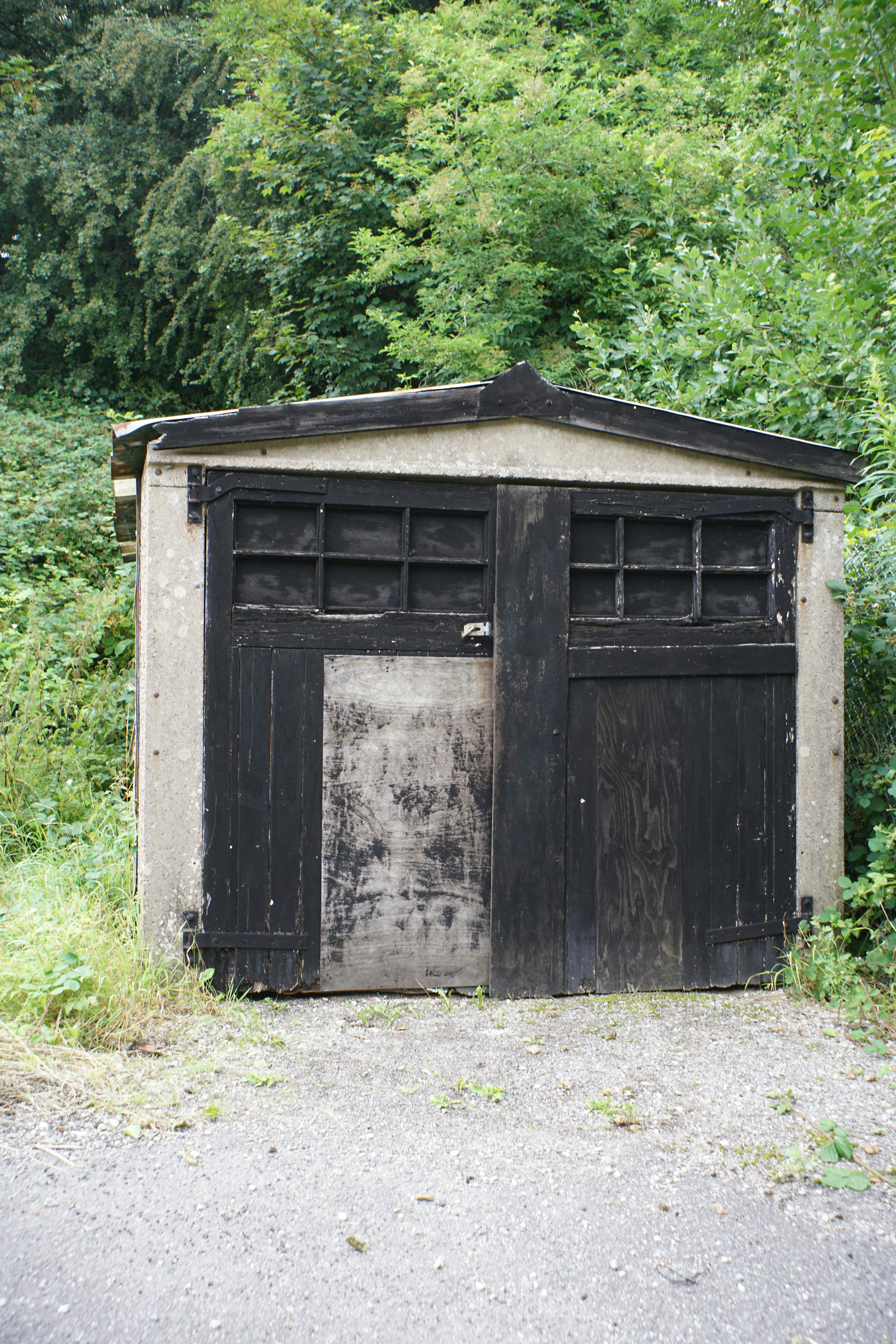 Weathered shed under a canopy of green