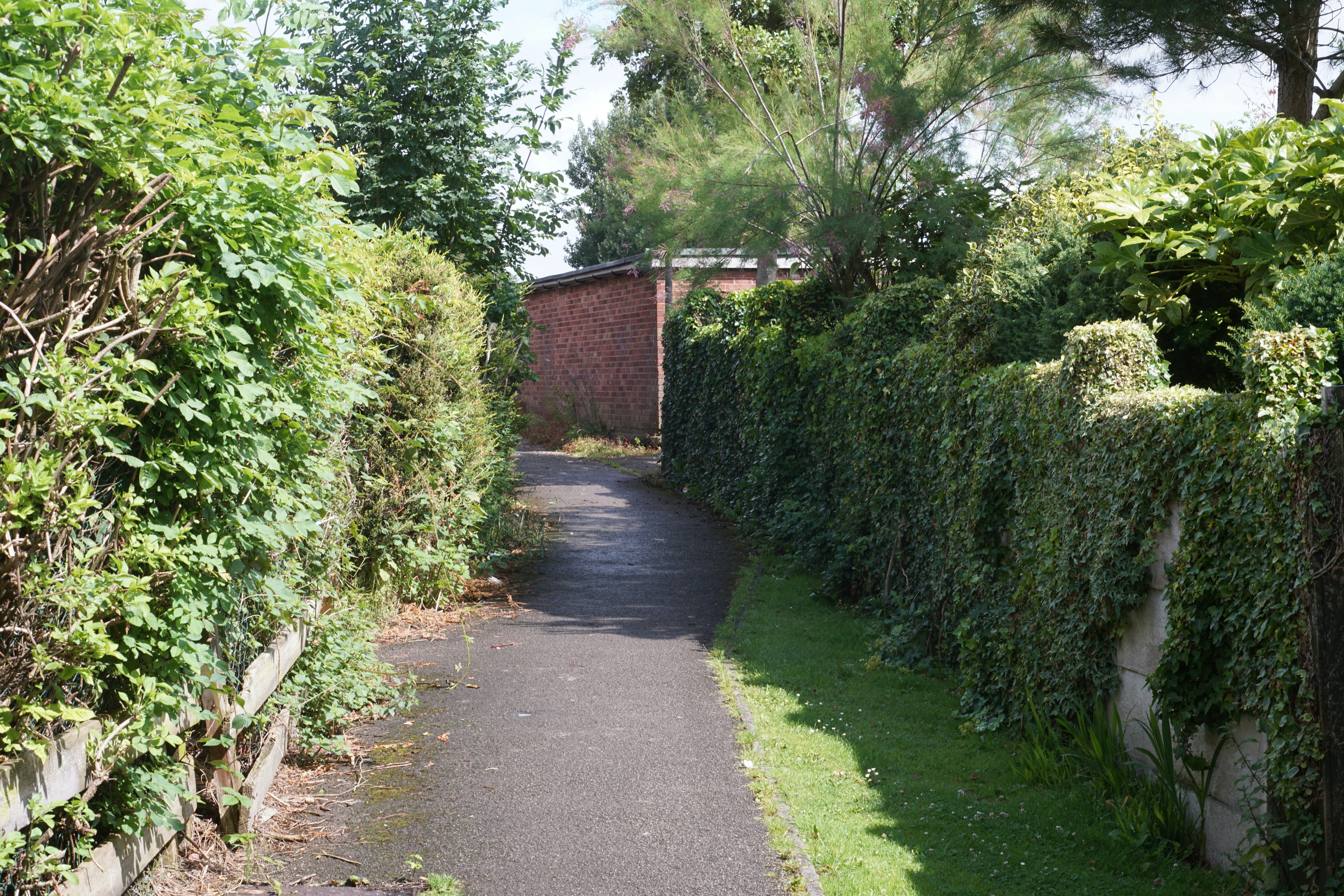 Path to Green Lantern: A Quiet Garden Corridor