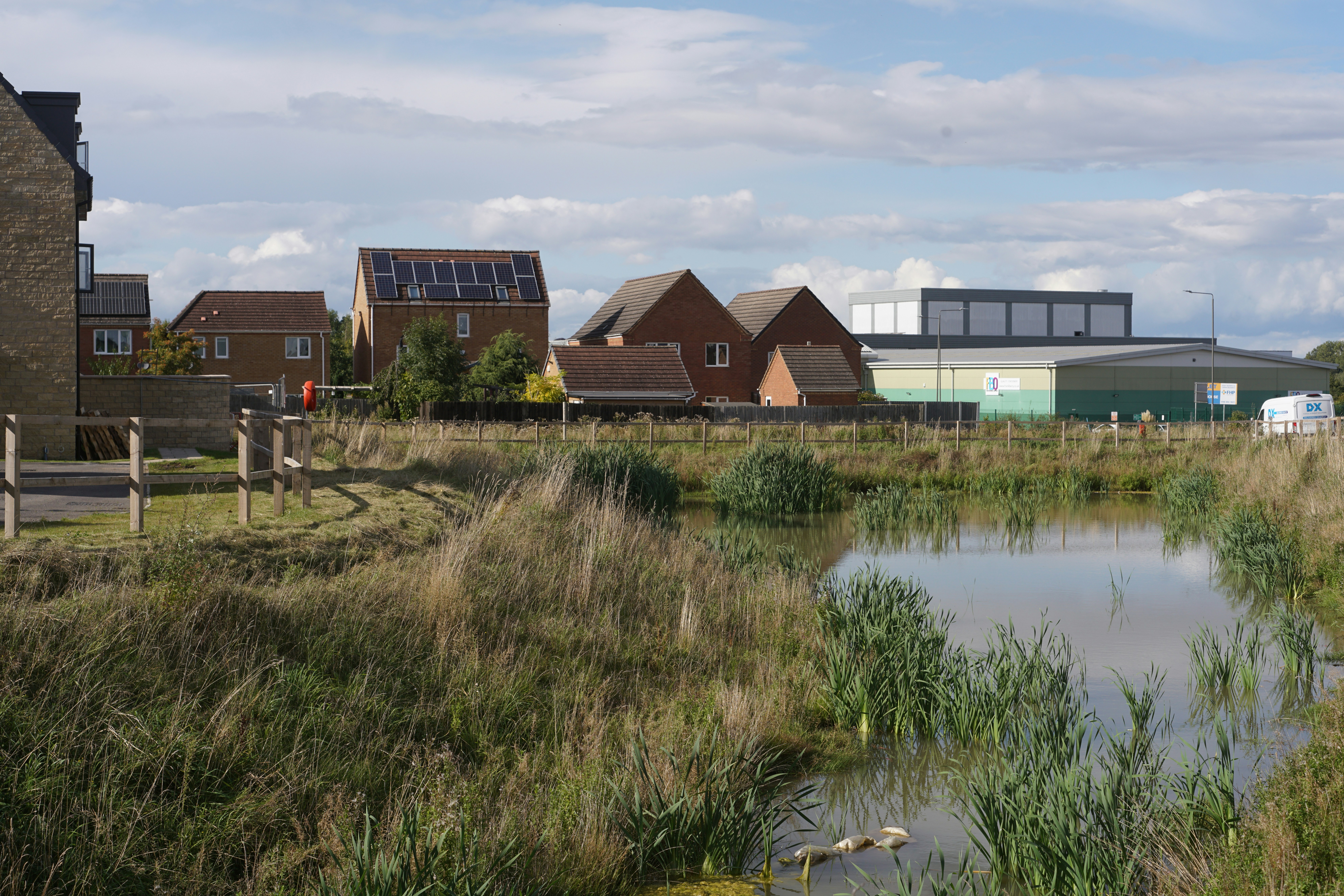 Sunlit Row of Modern Homes Beyond a Wild Meadow Canal