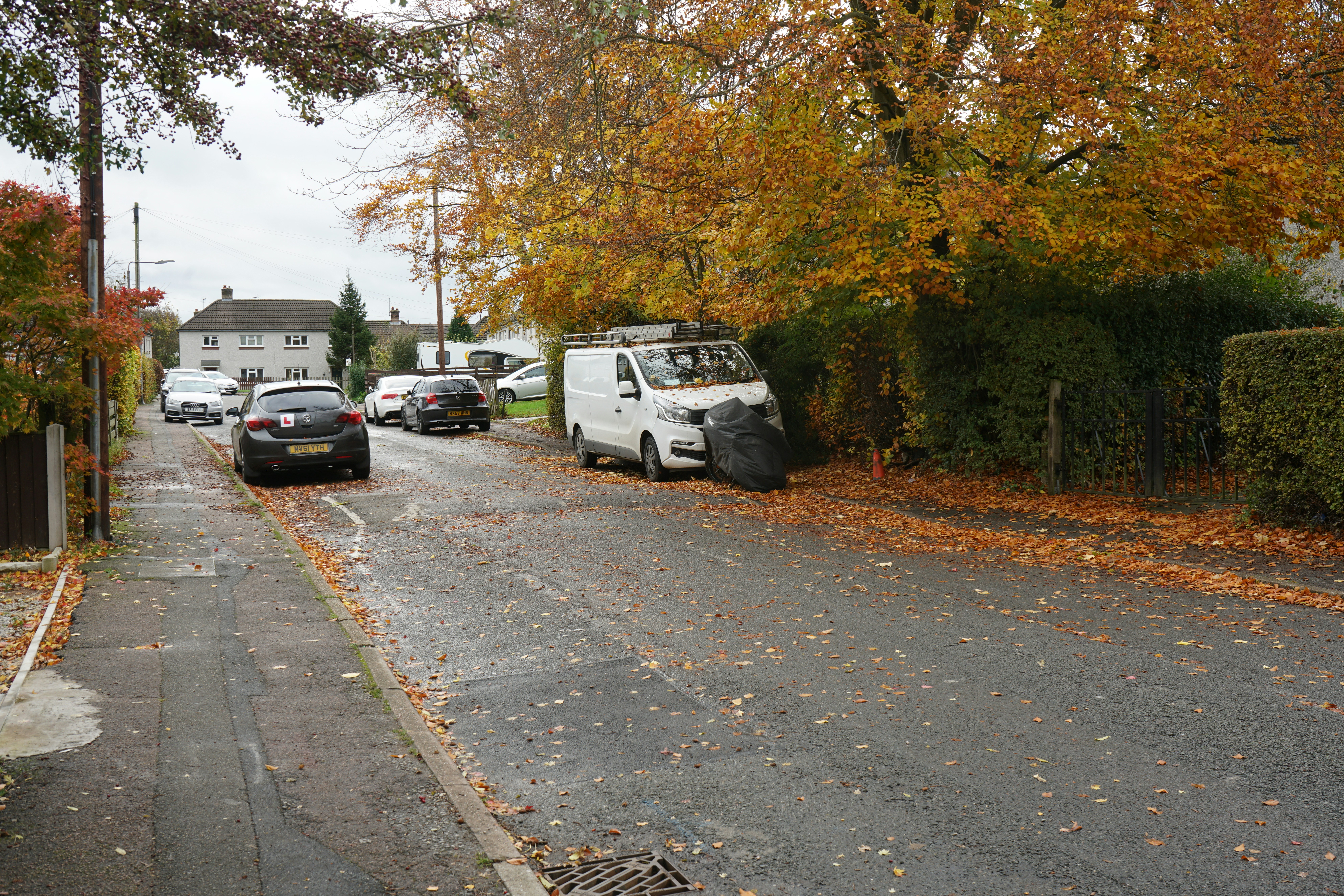 Autumn Street Quiet: Leaves, Cars, and a Calm Community