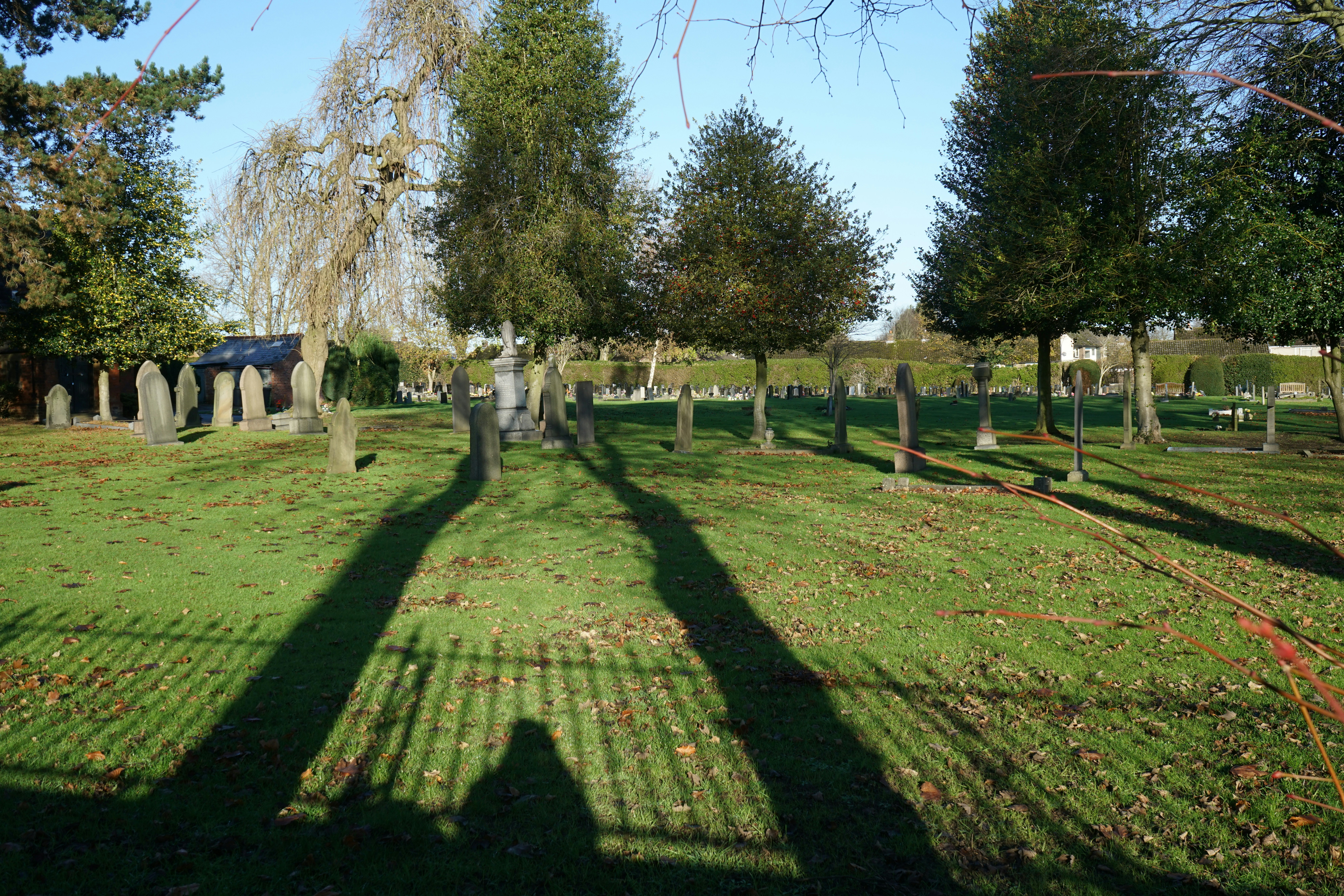 Long Shadows Overestones: Gravestones and Trees in Quiet Park