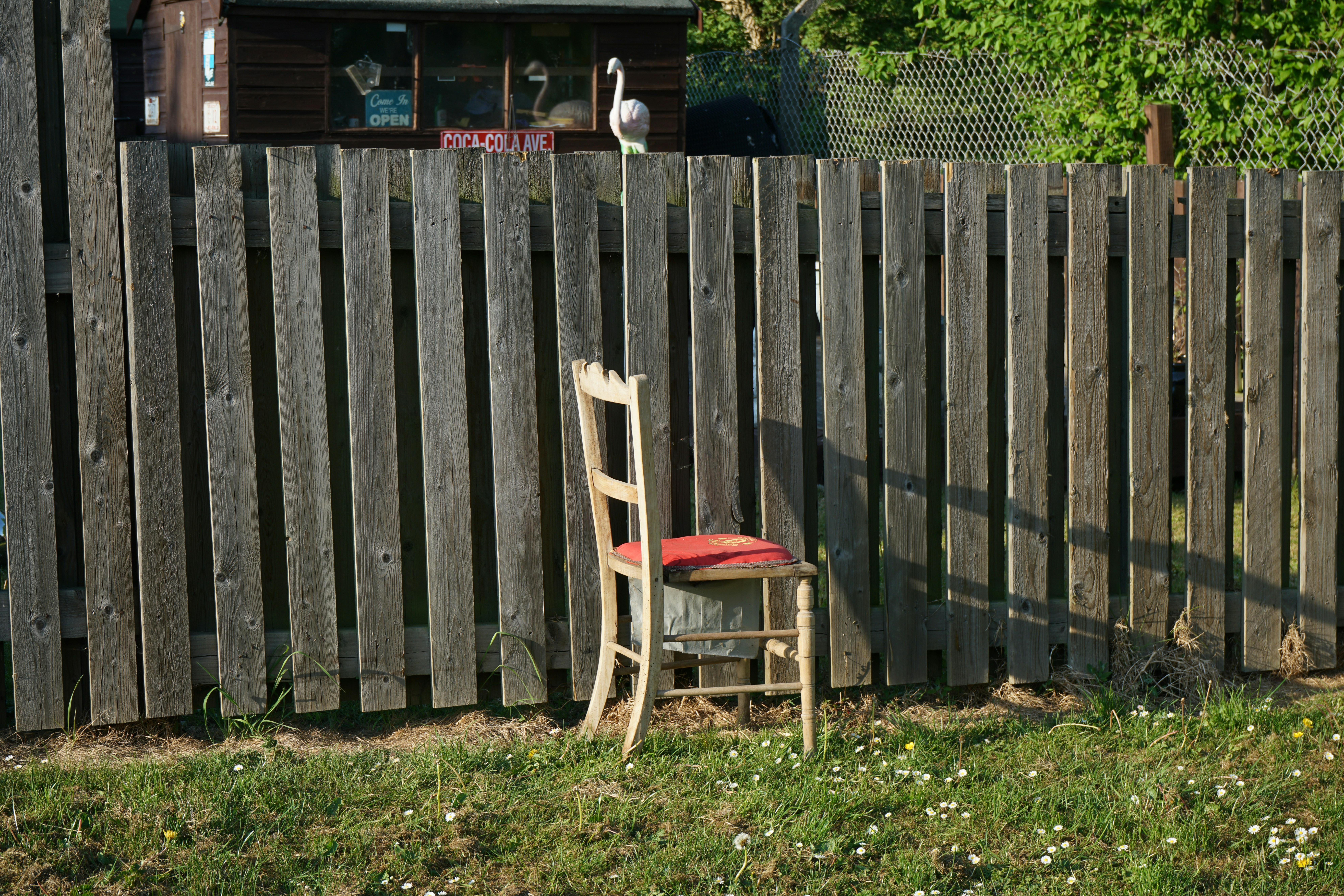 Sunlit Wooden Chair in a Quiet Backyard
