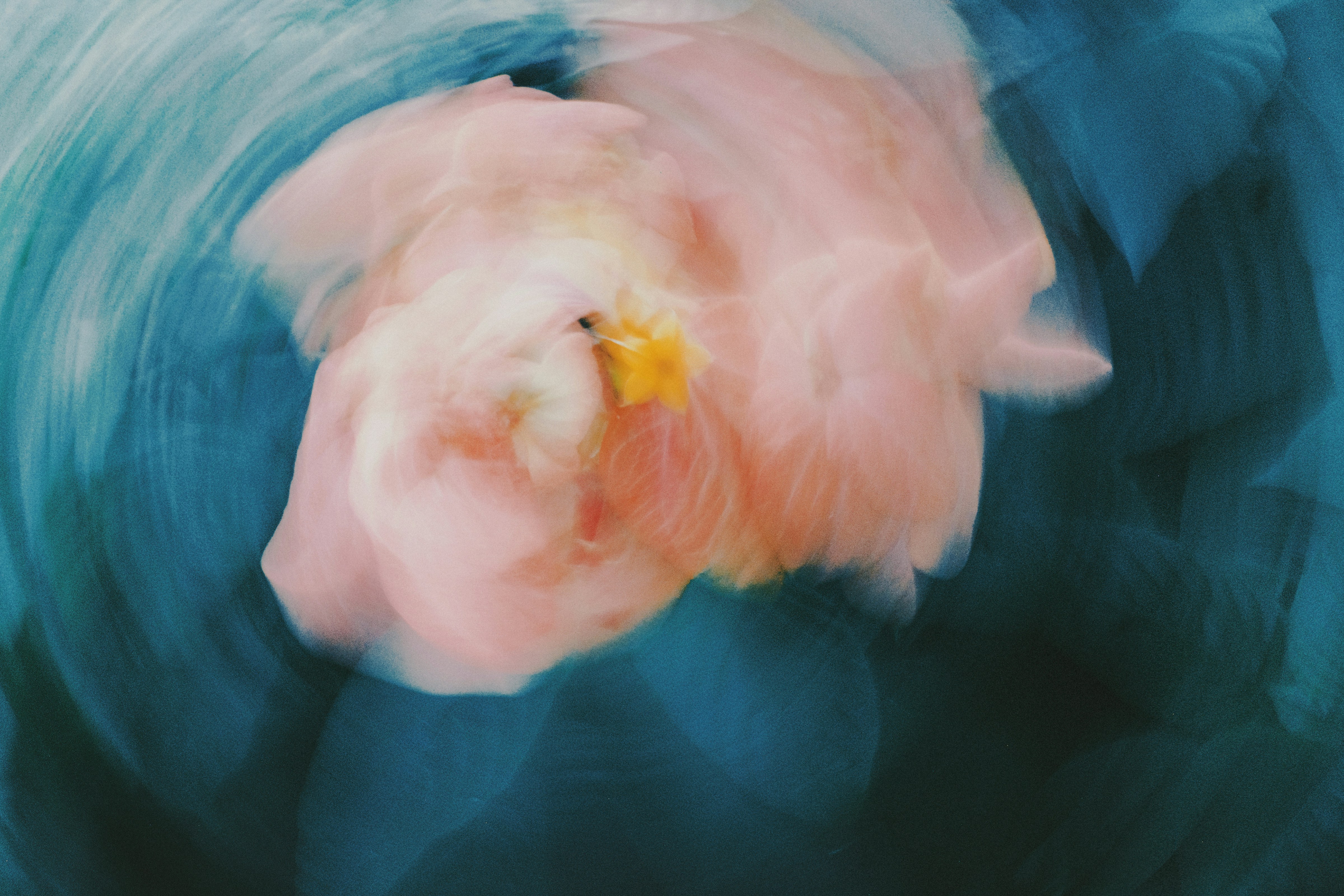 Blurred Bloom: Soft Focus Petal Center in Turquoise Depths
