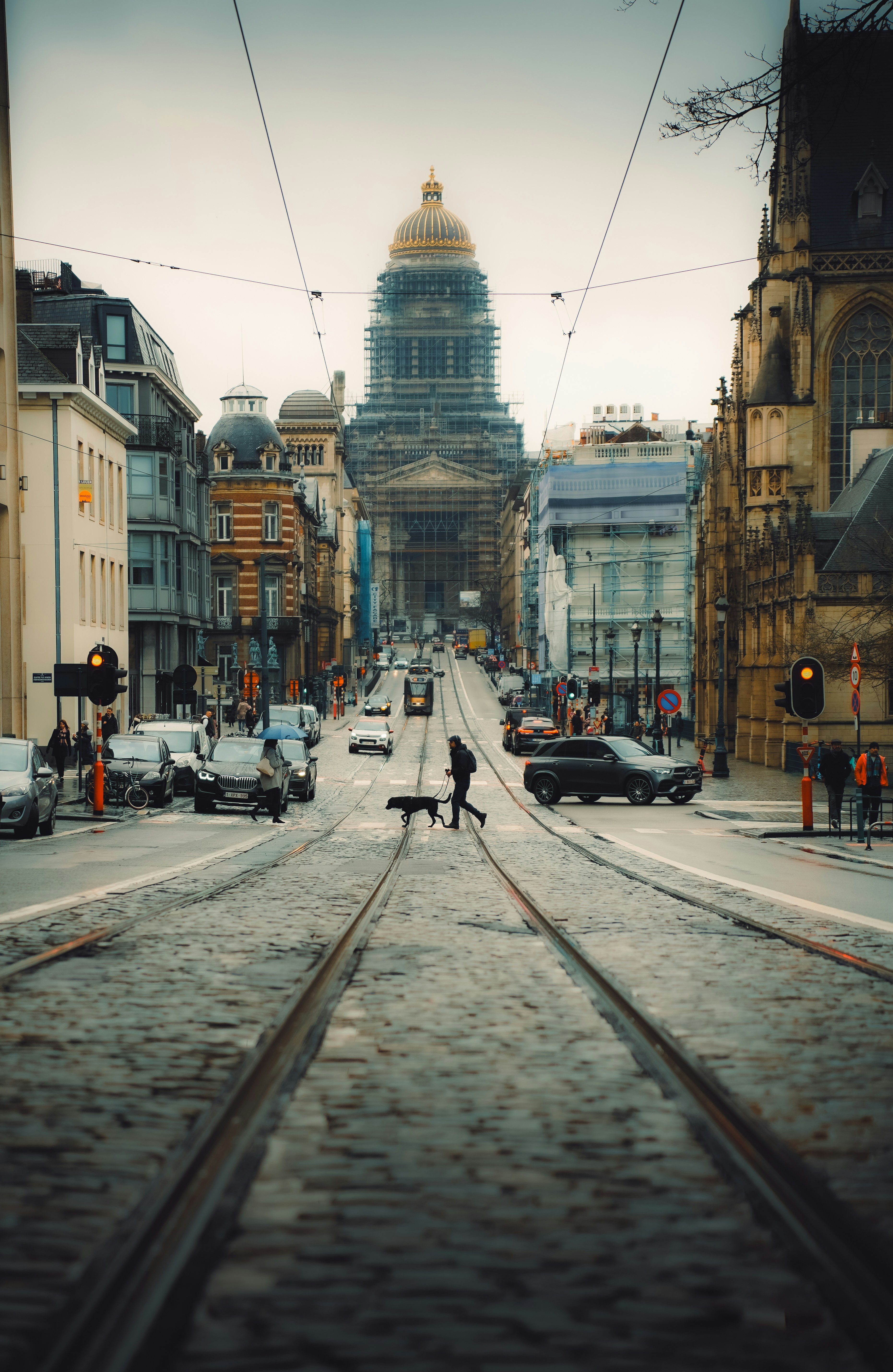 Crossing at the Domed Avenue: Pedestrian and Dog on a Stony Street Leading to a Grand Civic Dome