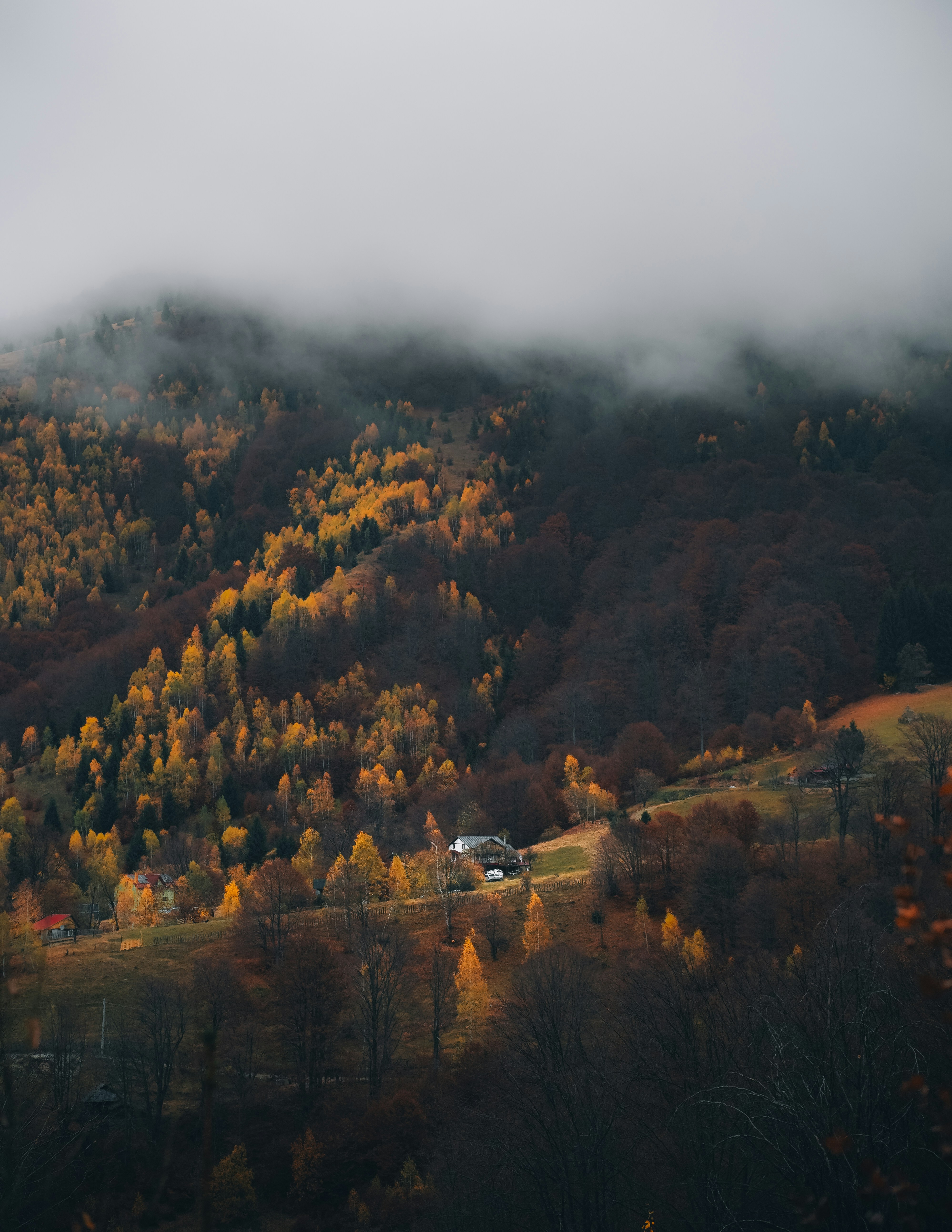 Autumn Valley Under Low Clouds