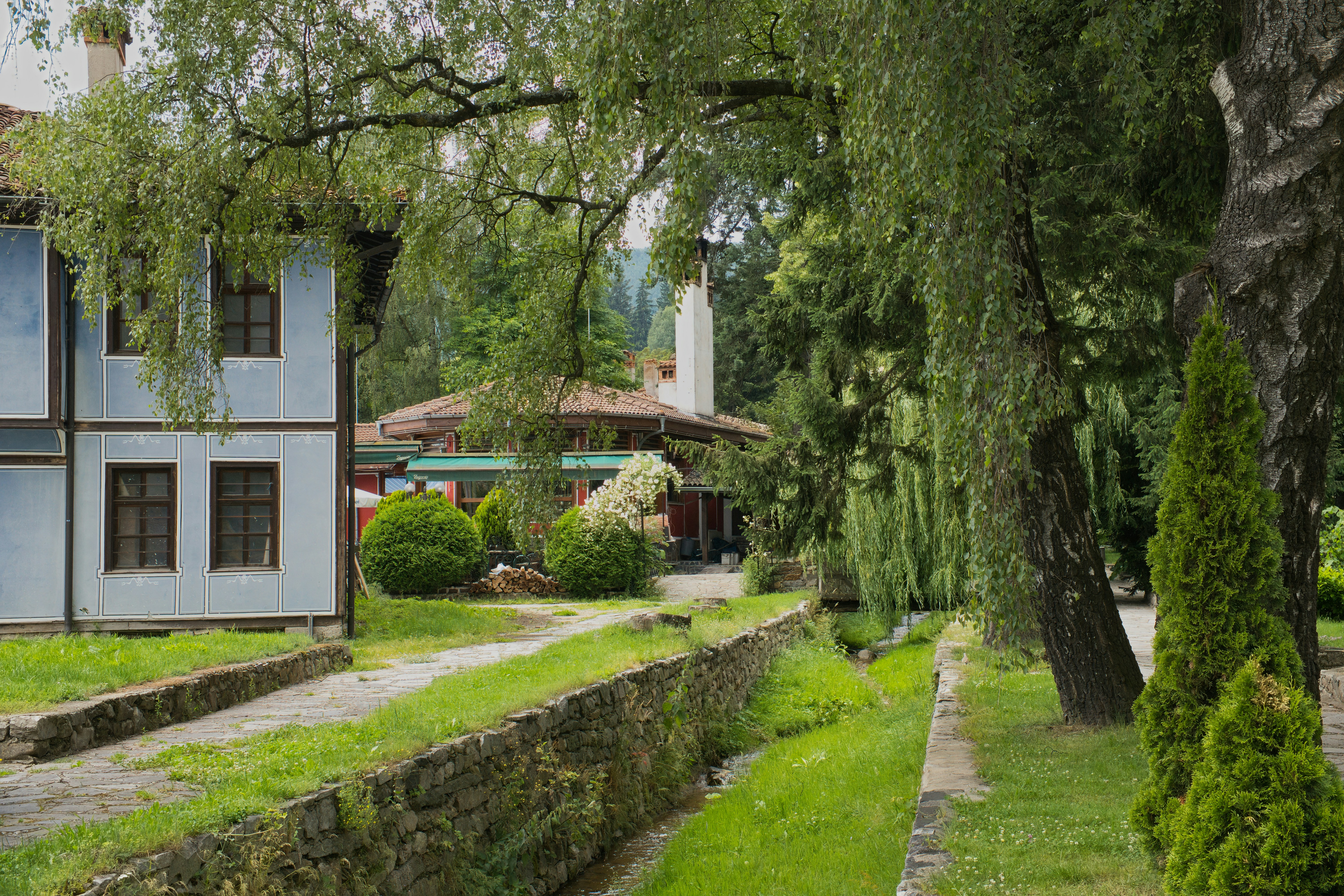 Cozy riverside campus tucked under the shade of hanging branches