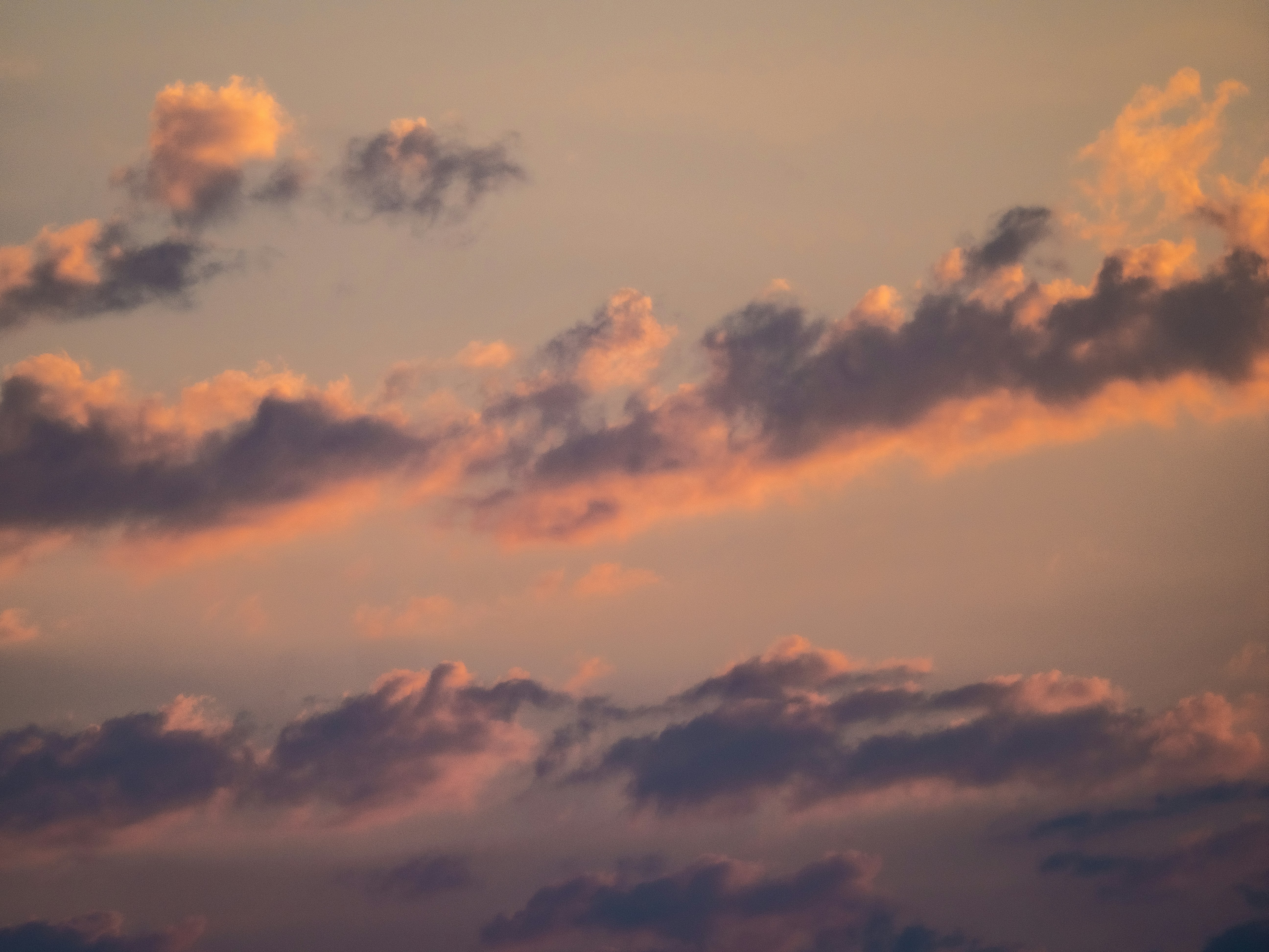 Soft Dawn in the Velvet Sky