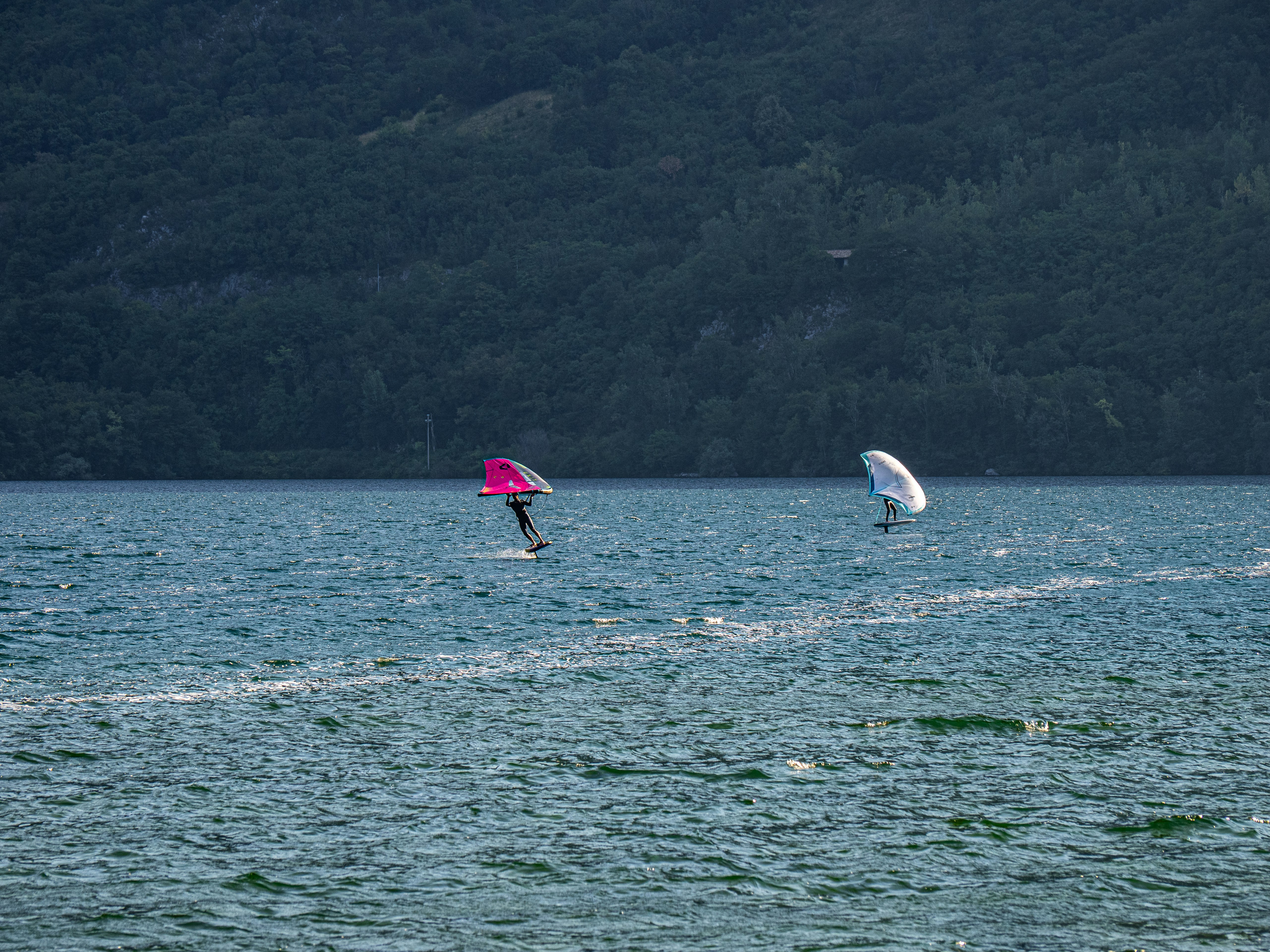 Two windsurfers glide across a calm lake, colored sails catching the light with a forested hillside in the background.