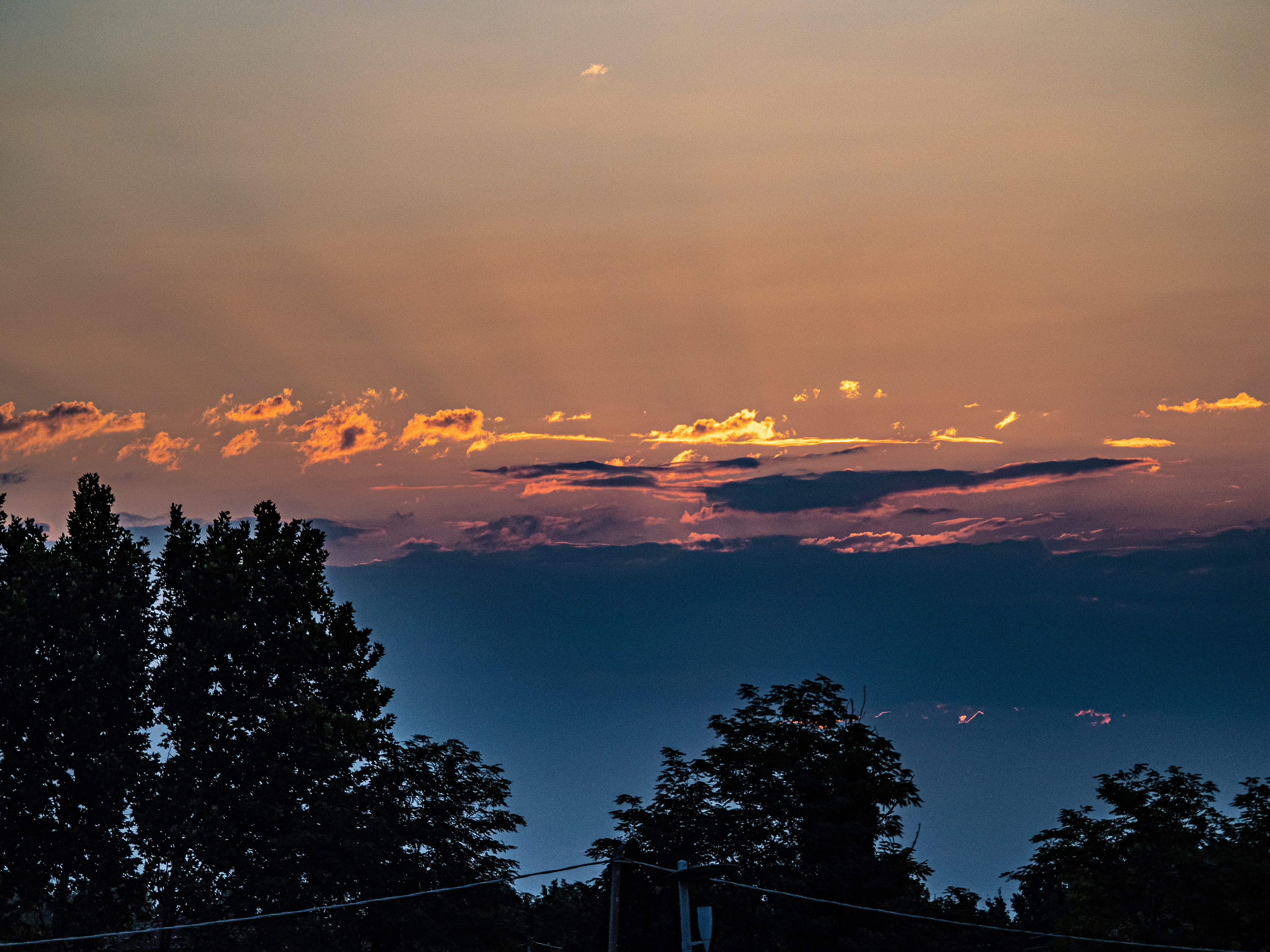 Silhouetted treetops at a layered sunset over distant ridges