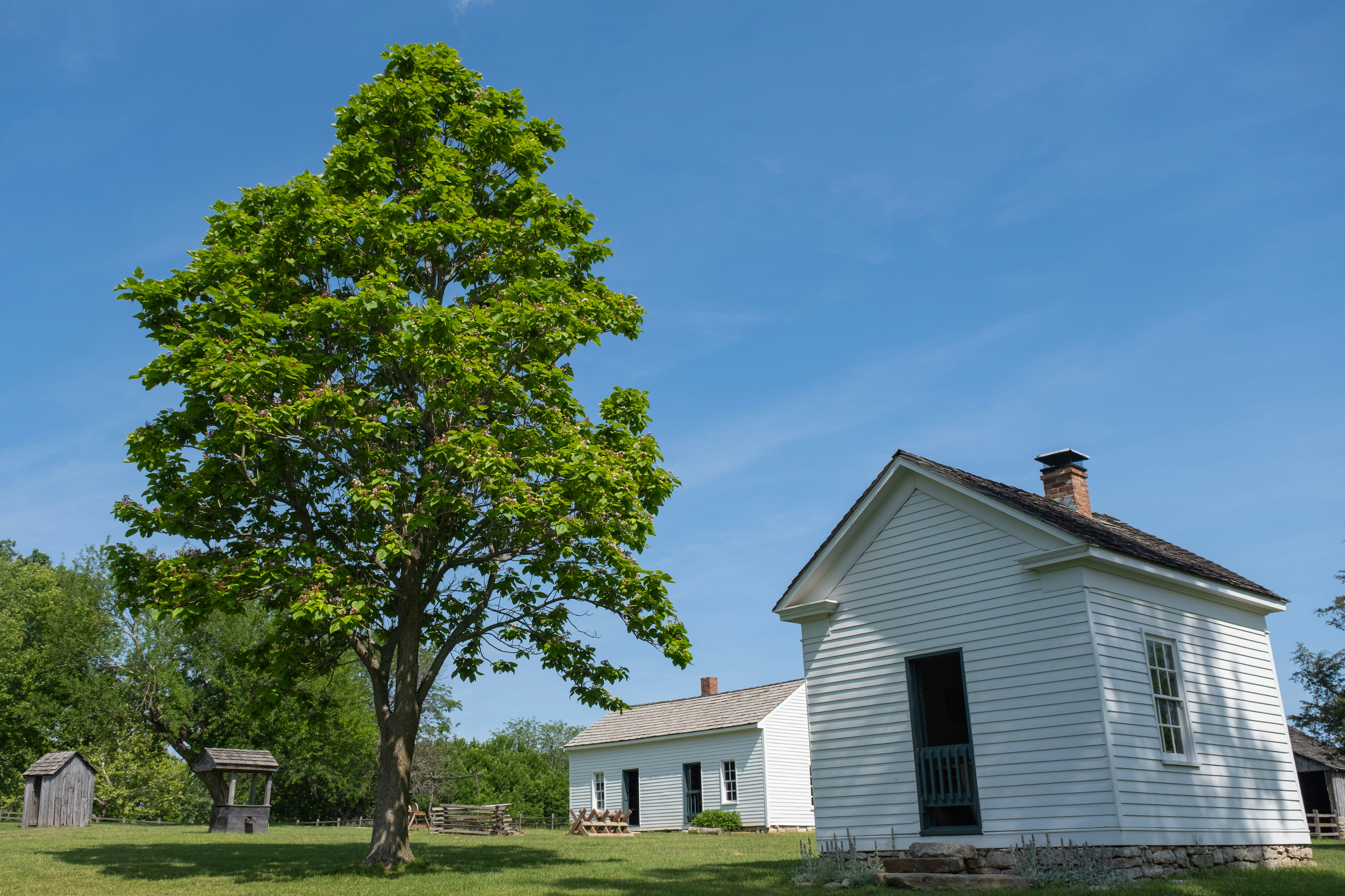 Sunlit Homestead & Treeyard on a Quiet Prairie
