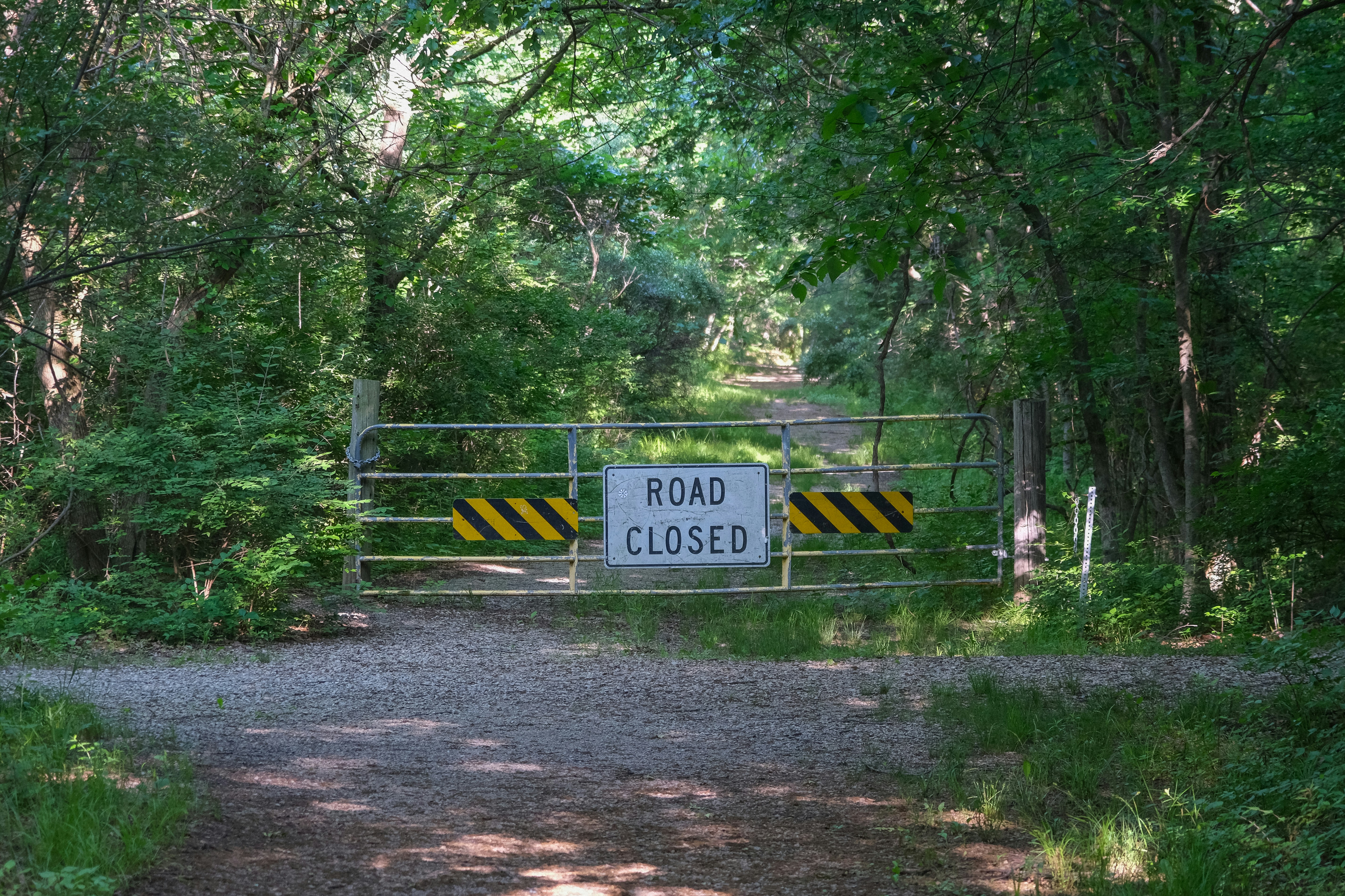 Gate to the Quiet Trail: Road Closed in a Sunlit Forest