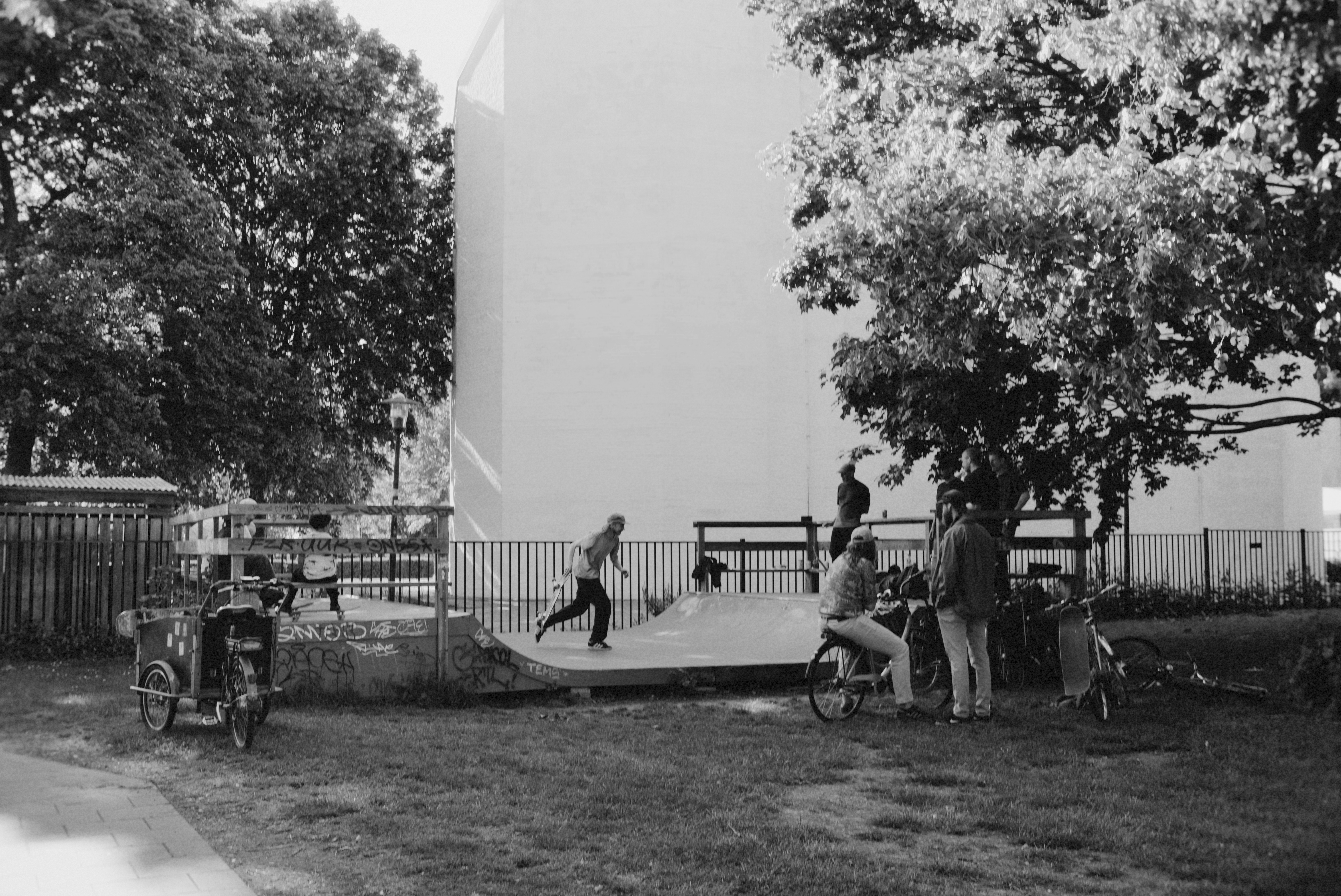 Parkside Momentum: A Quiet Moment by the Stage Girded by Trees