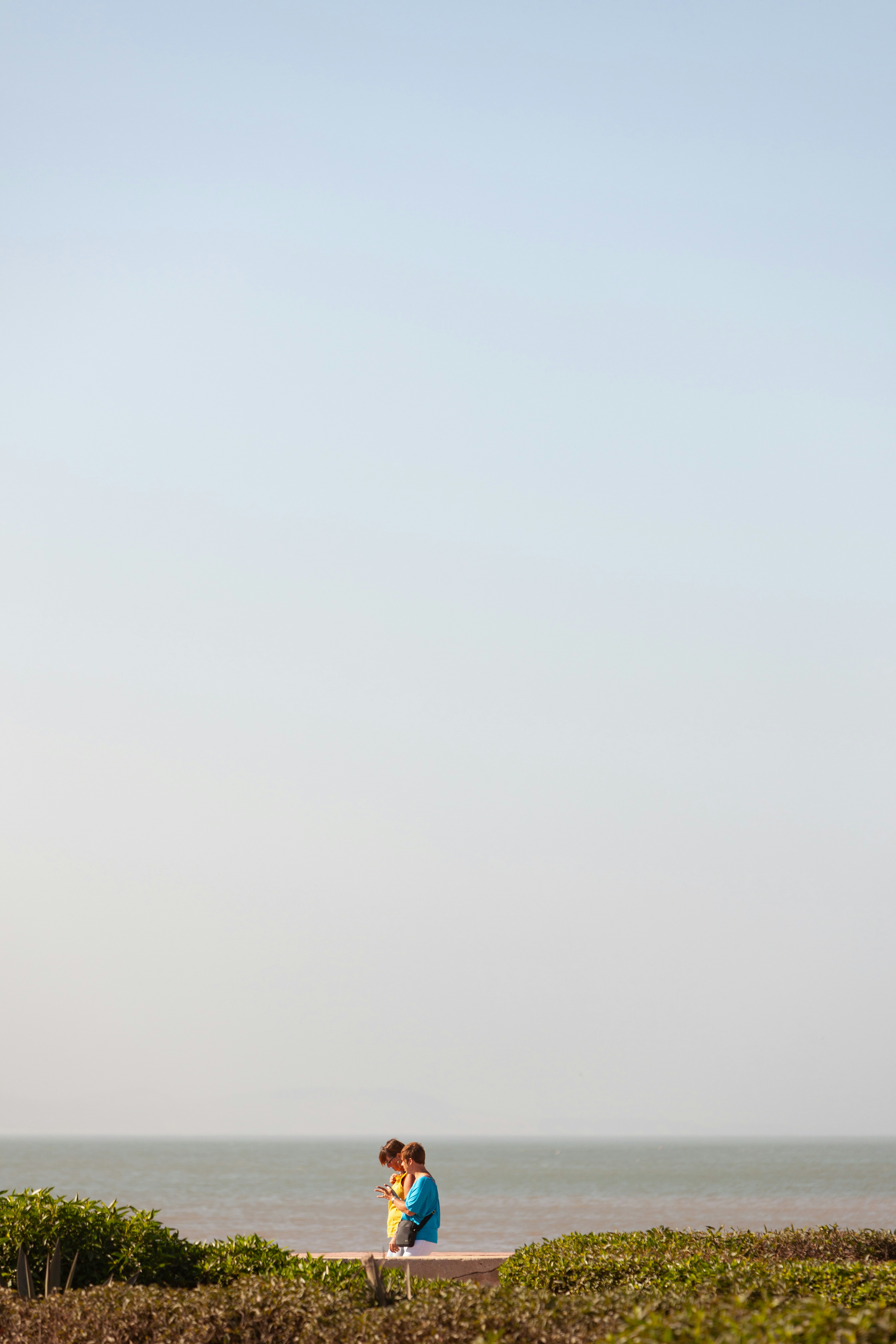 Quiet Horizon: A Pair at the Edge of the Sea