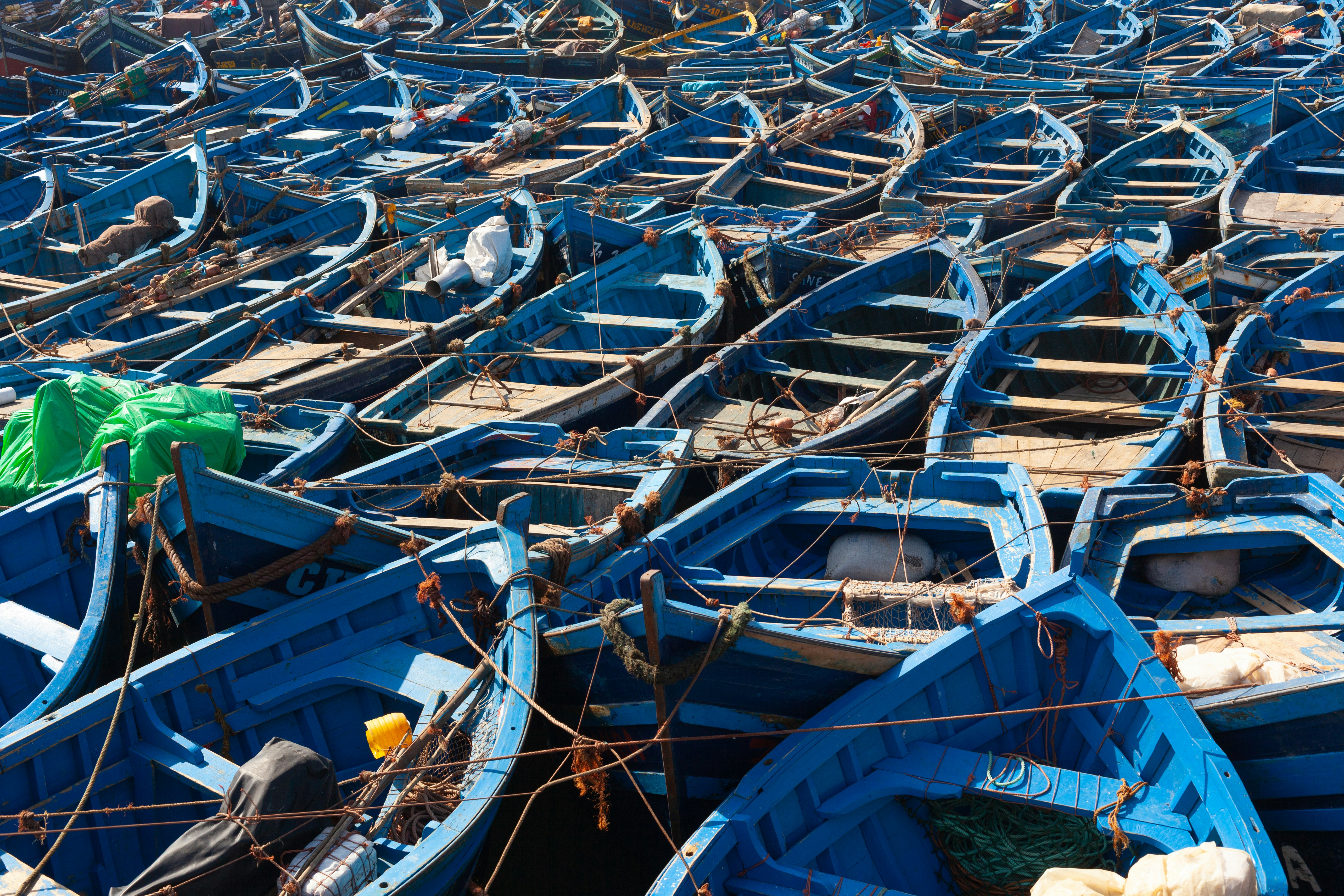 A Sea of Blue Boats: Tangles of Wooden Hulls and Rope