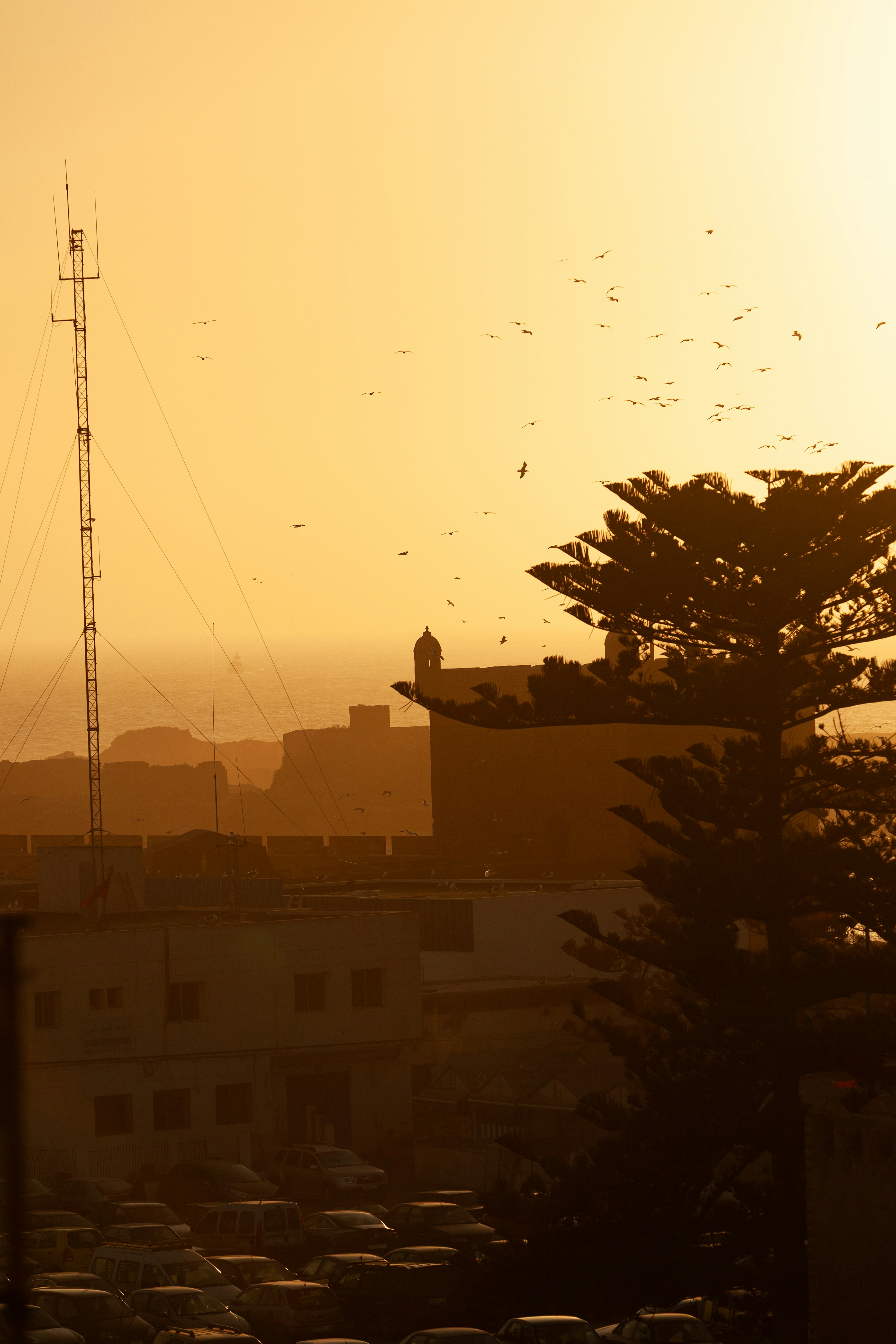 Golden Hour Overlook: Silhouetted Roofline Beneath a Flock