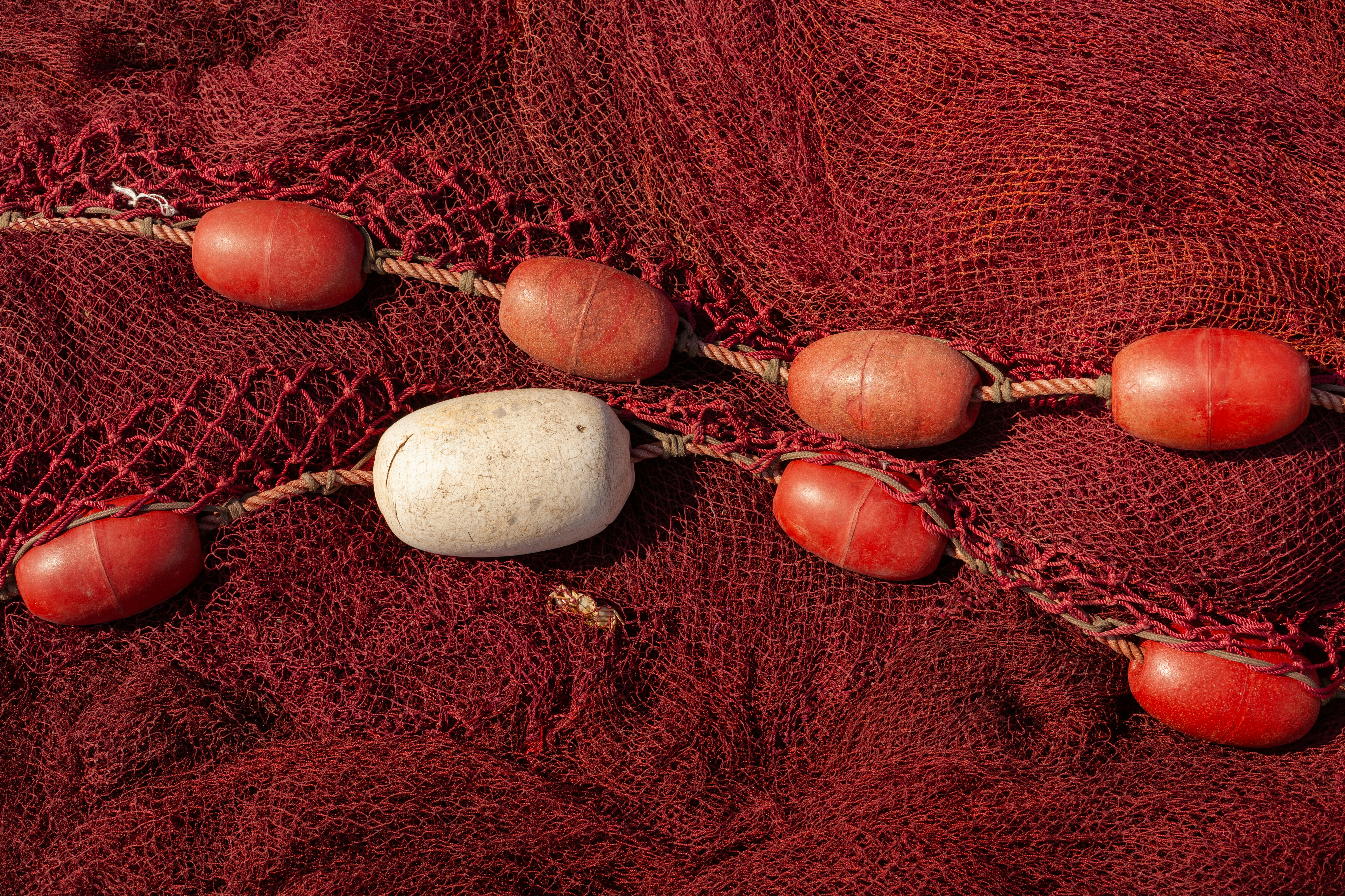 Red Mesh and a Single Stone: A Quiet Tide of Netting