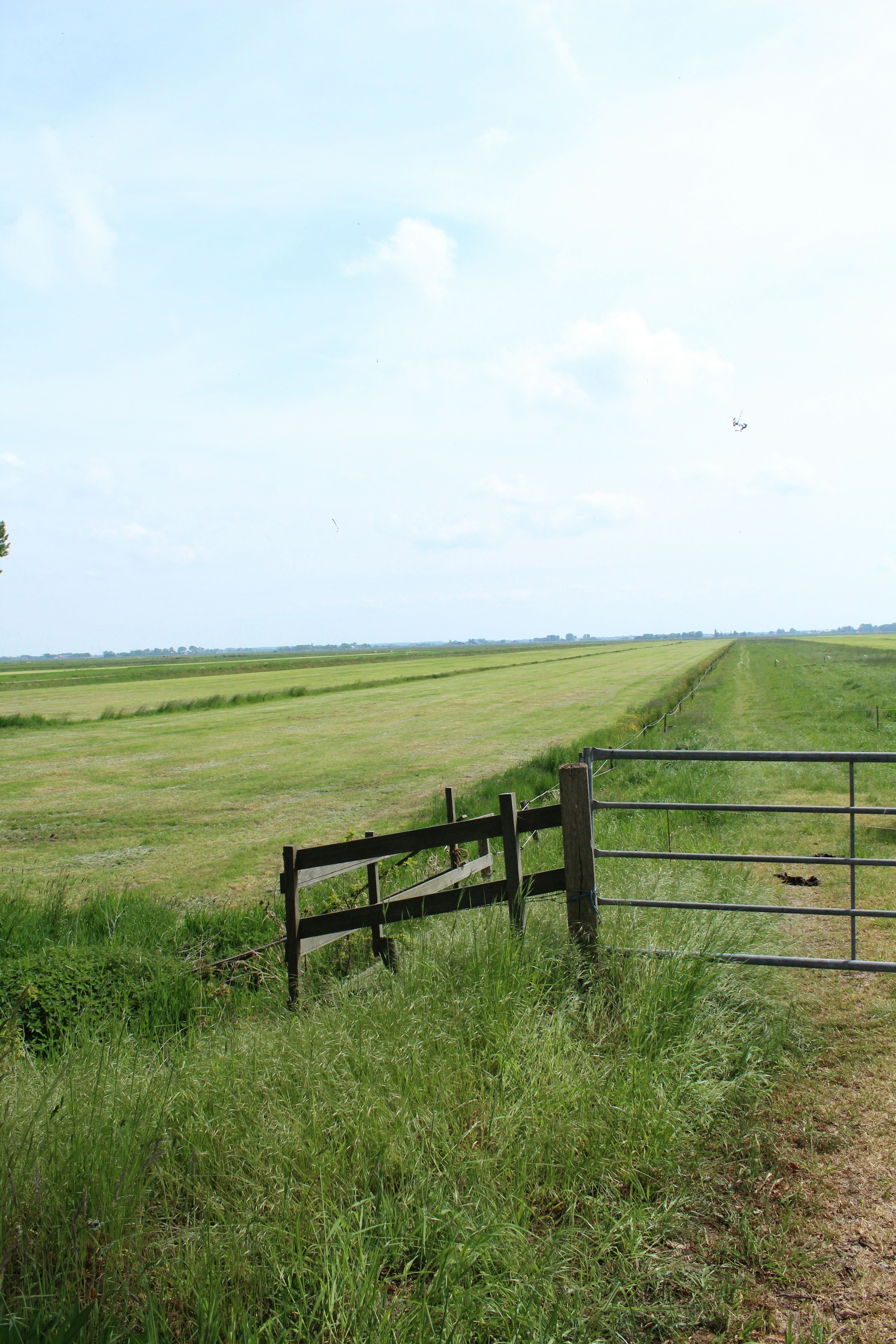 Gated Path Through Expanding Grasslands Under Wide Sky