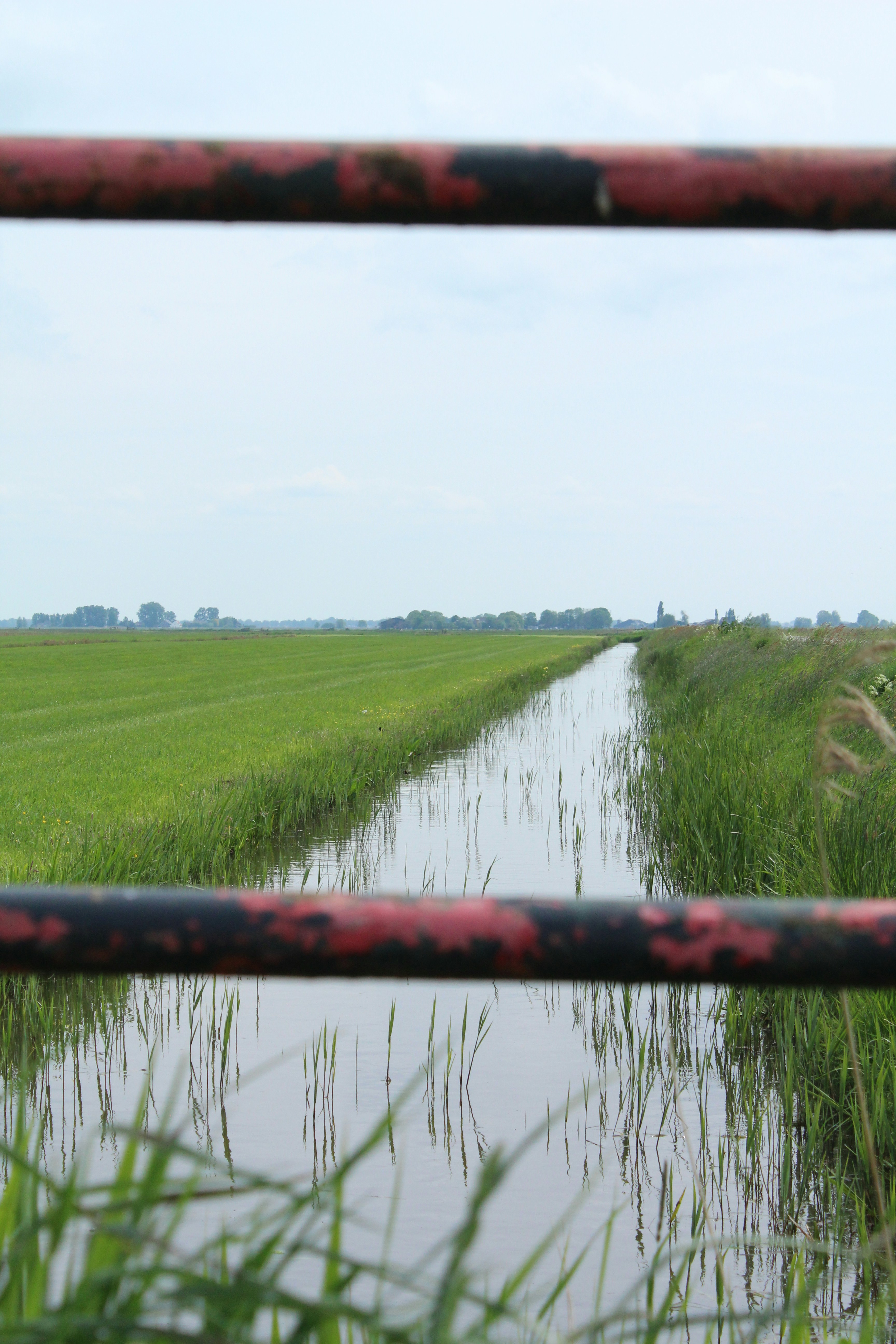 Through Weathered Bars: A Quiet Canal Framed by Rails