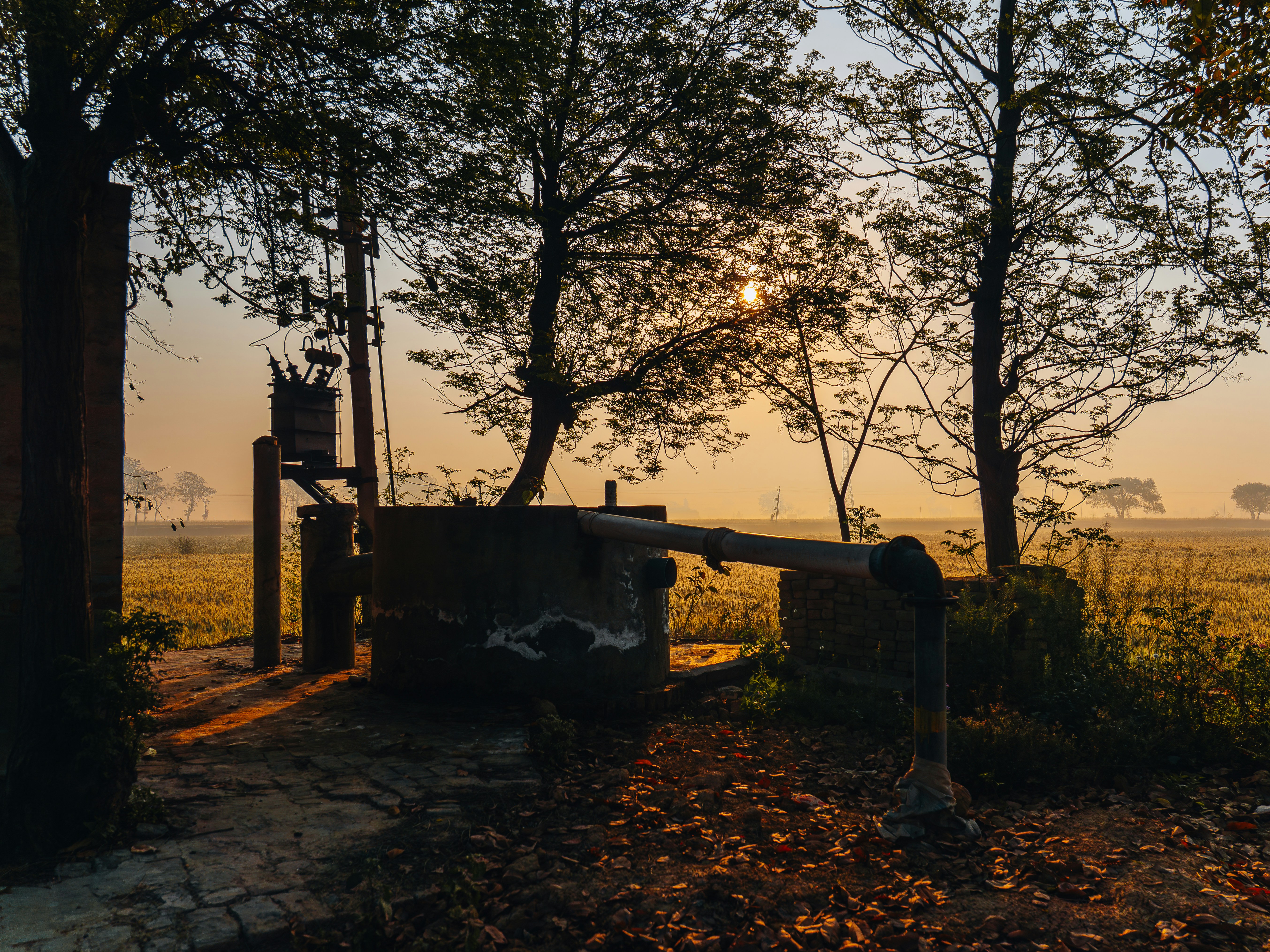 Dawn Over the Quiet Gate: A Rusted Barrier in a Golden Field