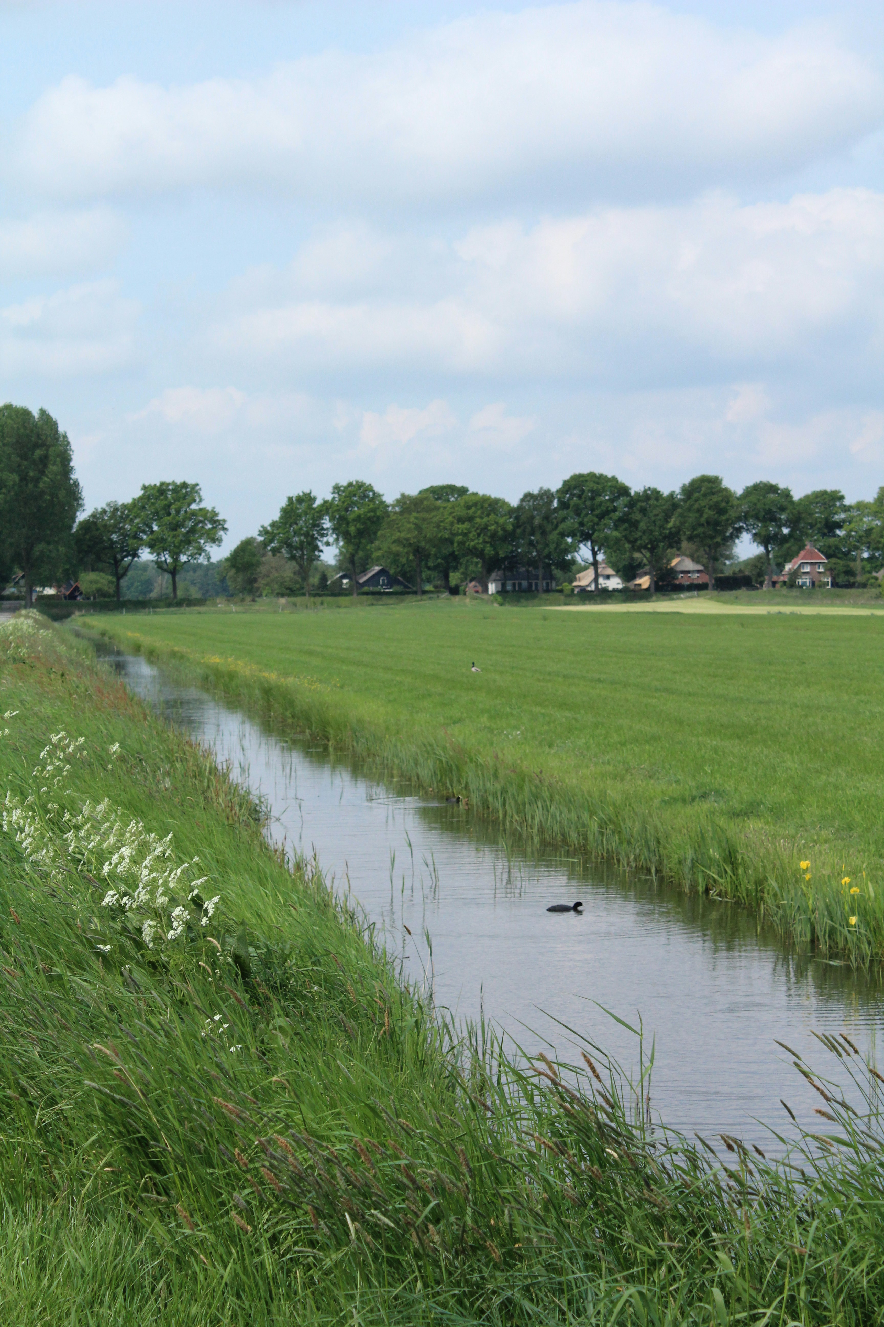 Waterway Wake: A Quiet Corridor Through Green Fields