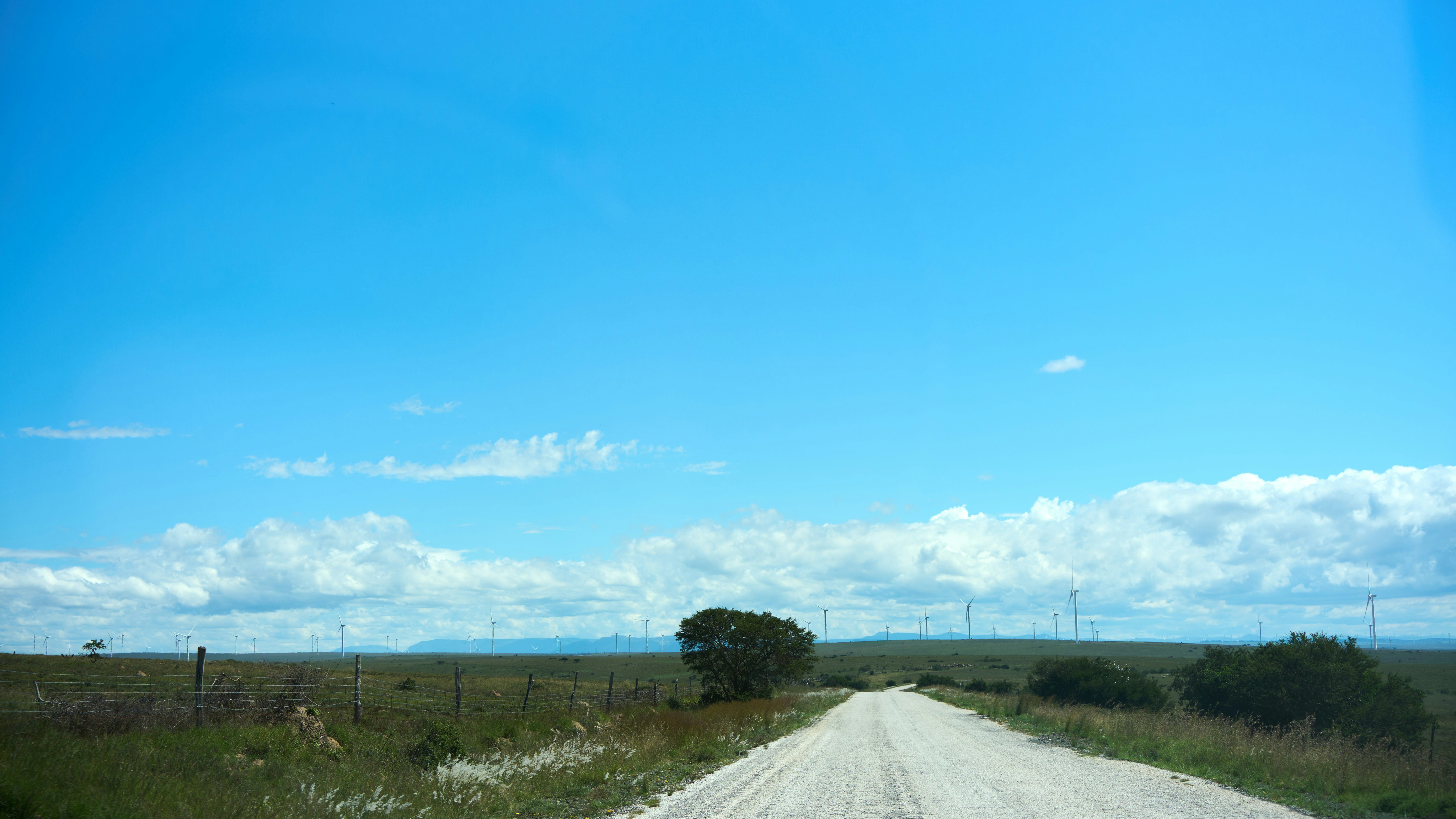 Dusty Road to the Horizon under a Wide Blue Sky