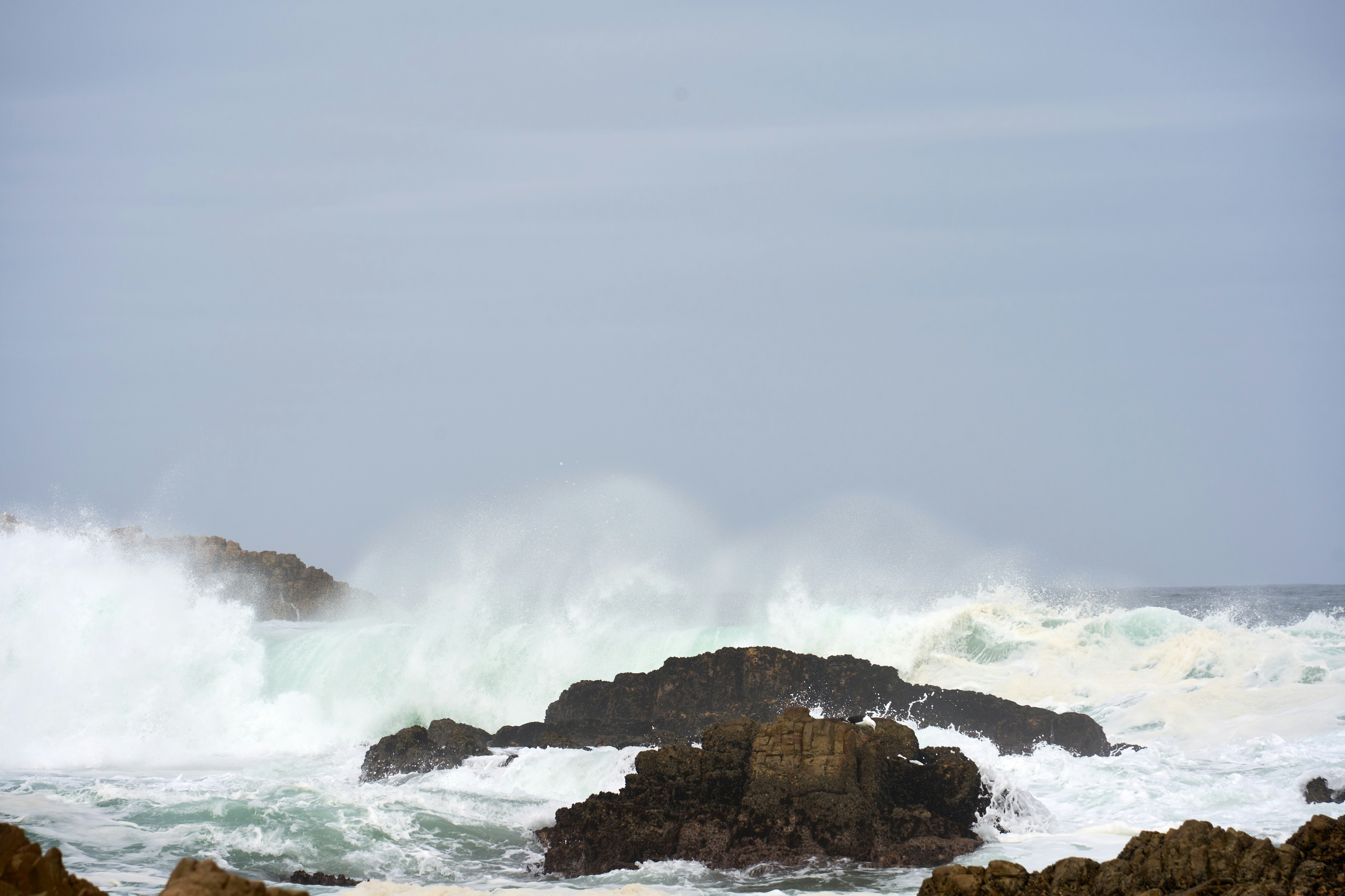 Rugged Breakers Against Shrouded Horizon