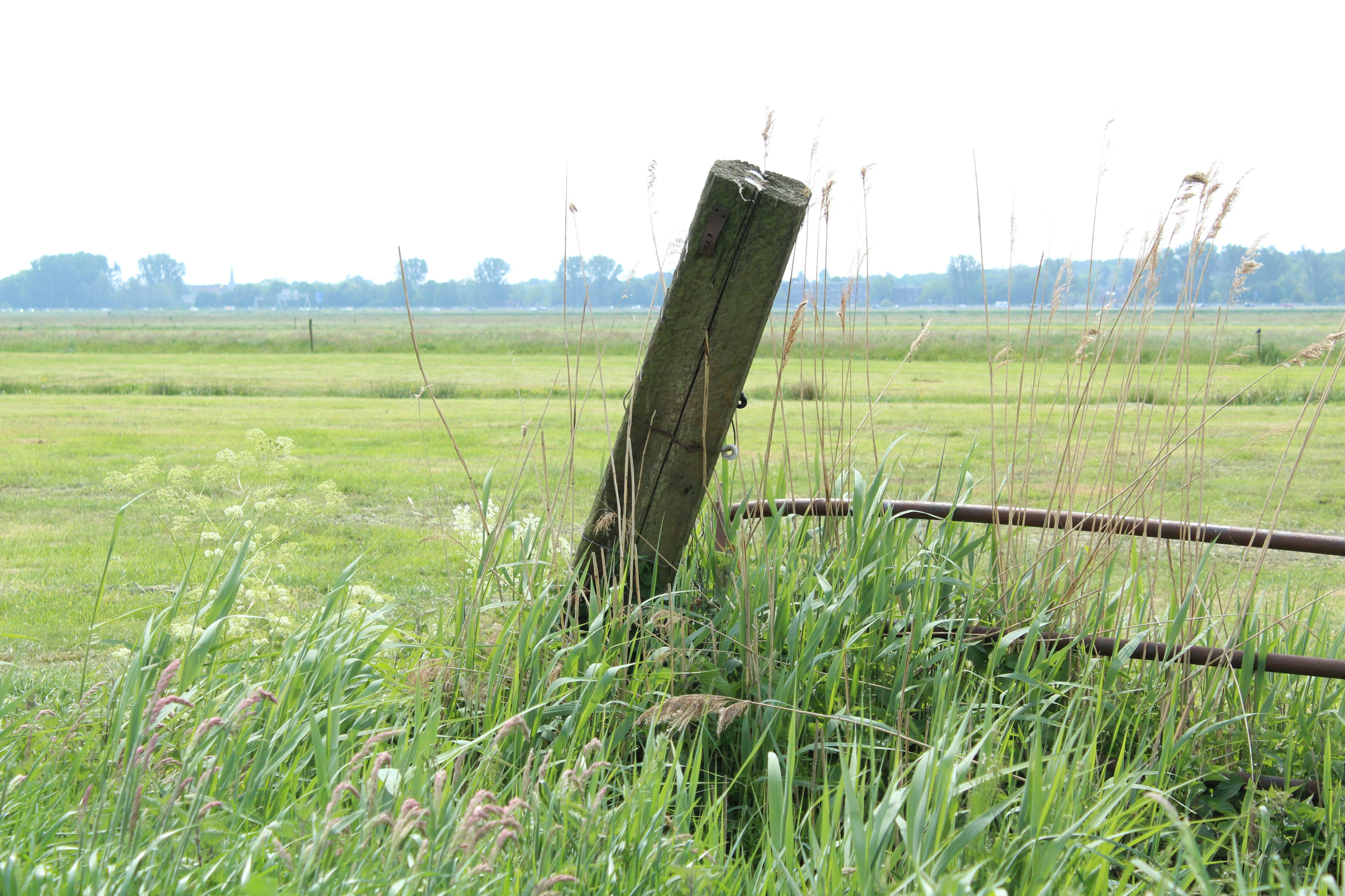 Weathered Fence Post in a Quiet Sepia Meadow