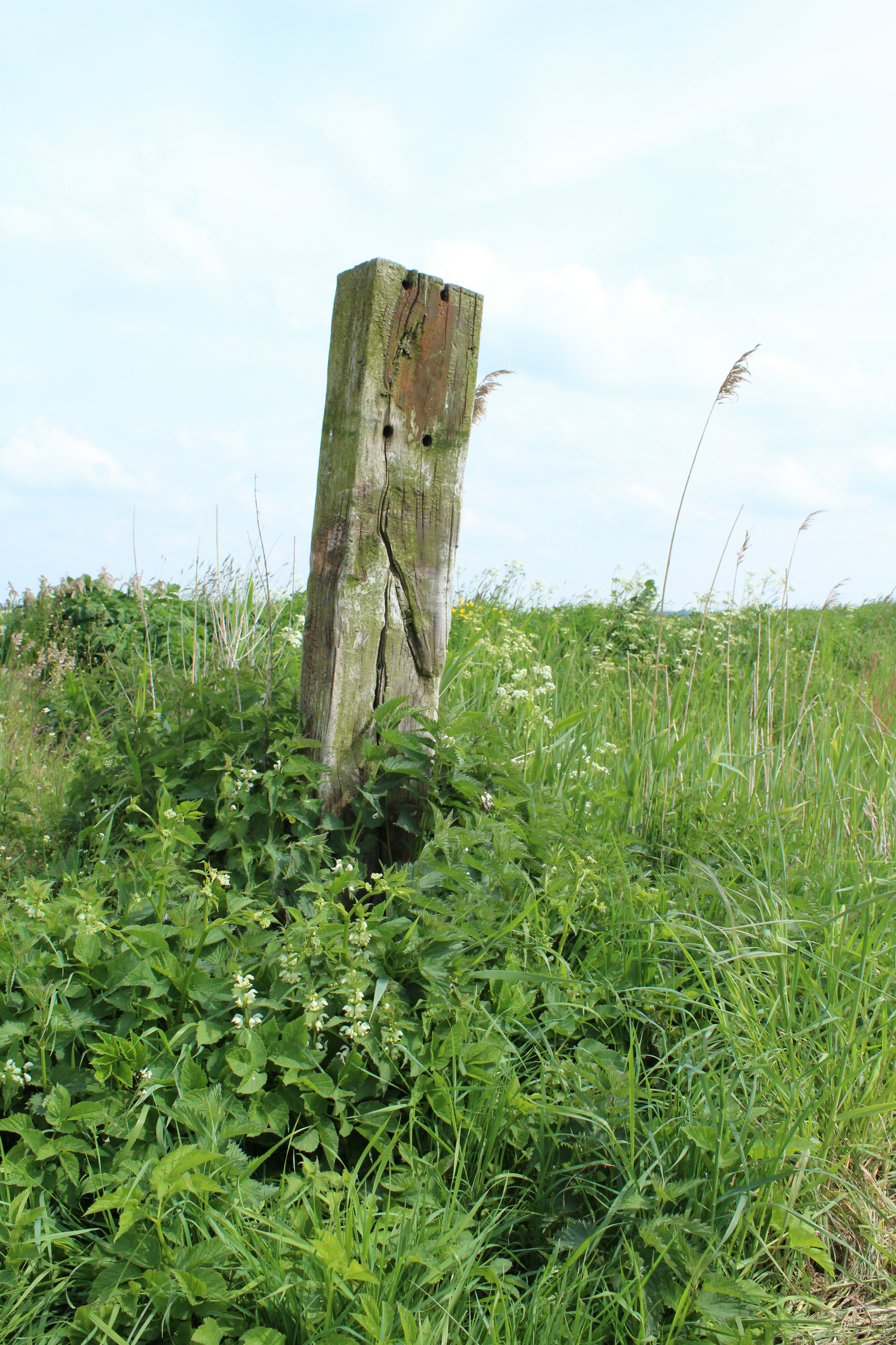 Weathered Post Standing Guard Over Green Verge