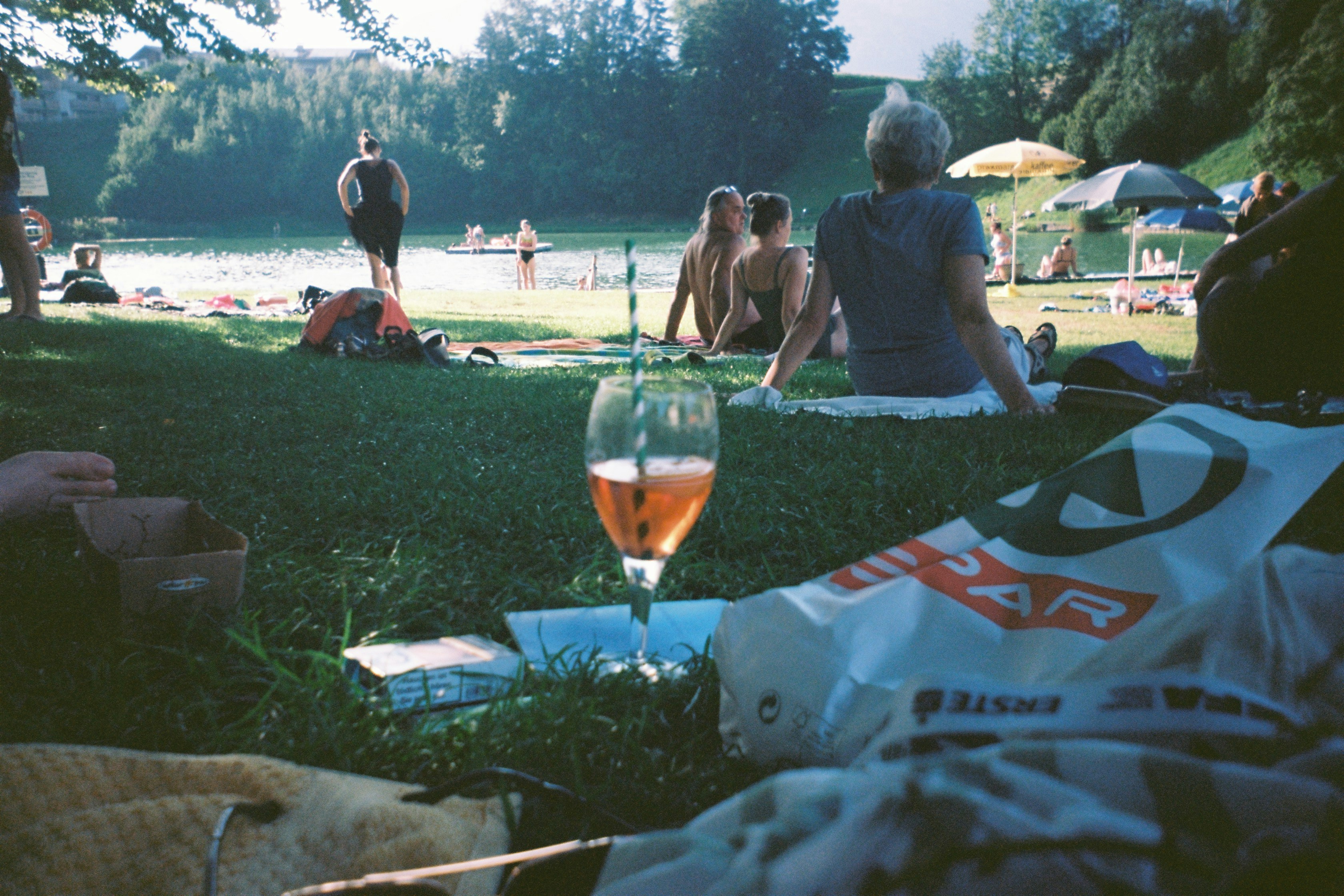 Picnic by the Lake: Glass of Rosé, Shared Moments and a Sunny Spill