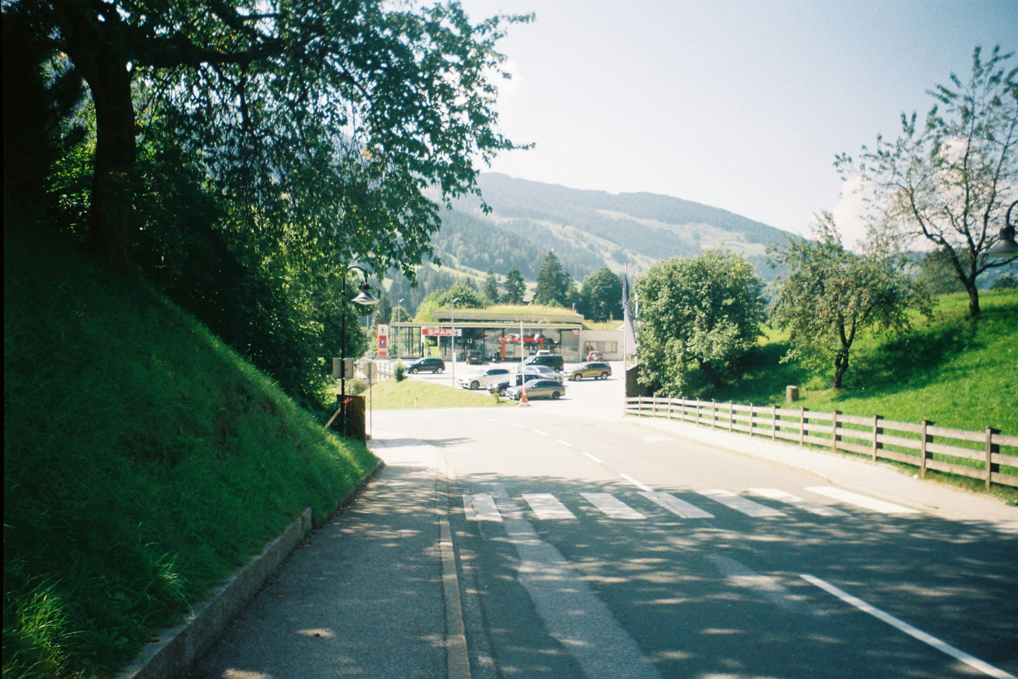 Ribbons of Shade and Light Down a Quiet Mountain Road