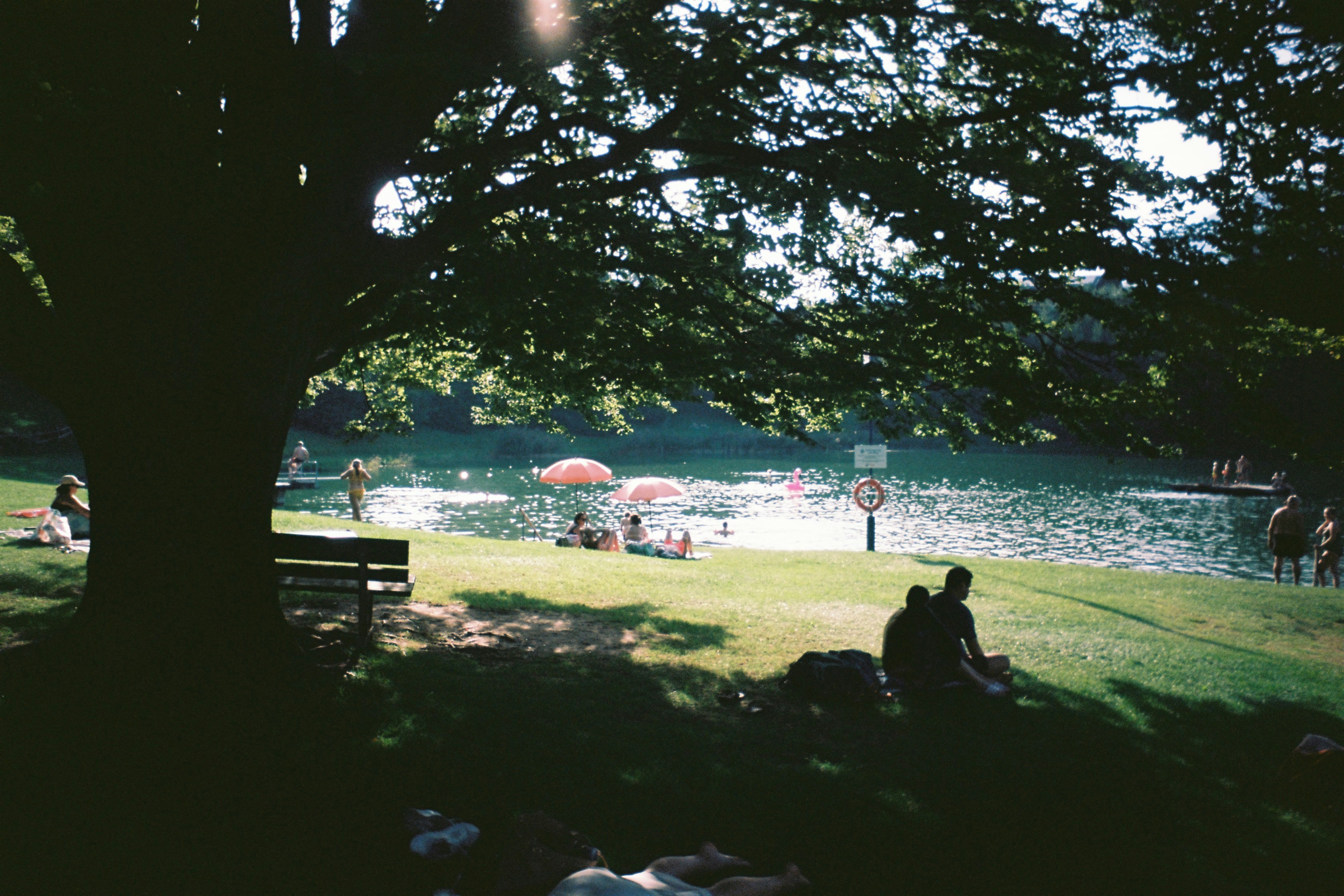 Shaded Park by the Lake with Silhouetted Visitors
