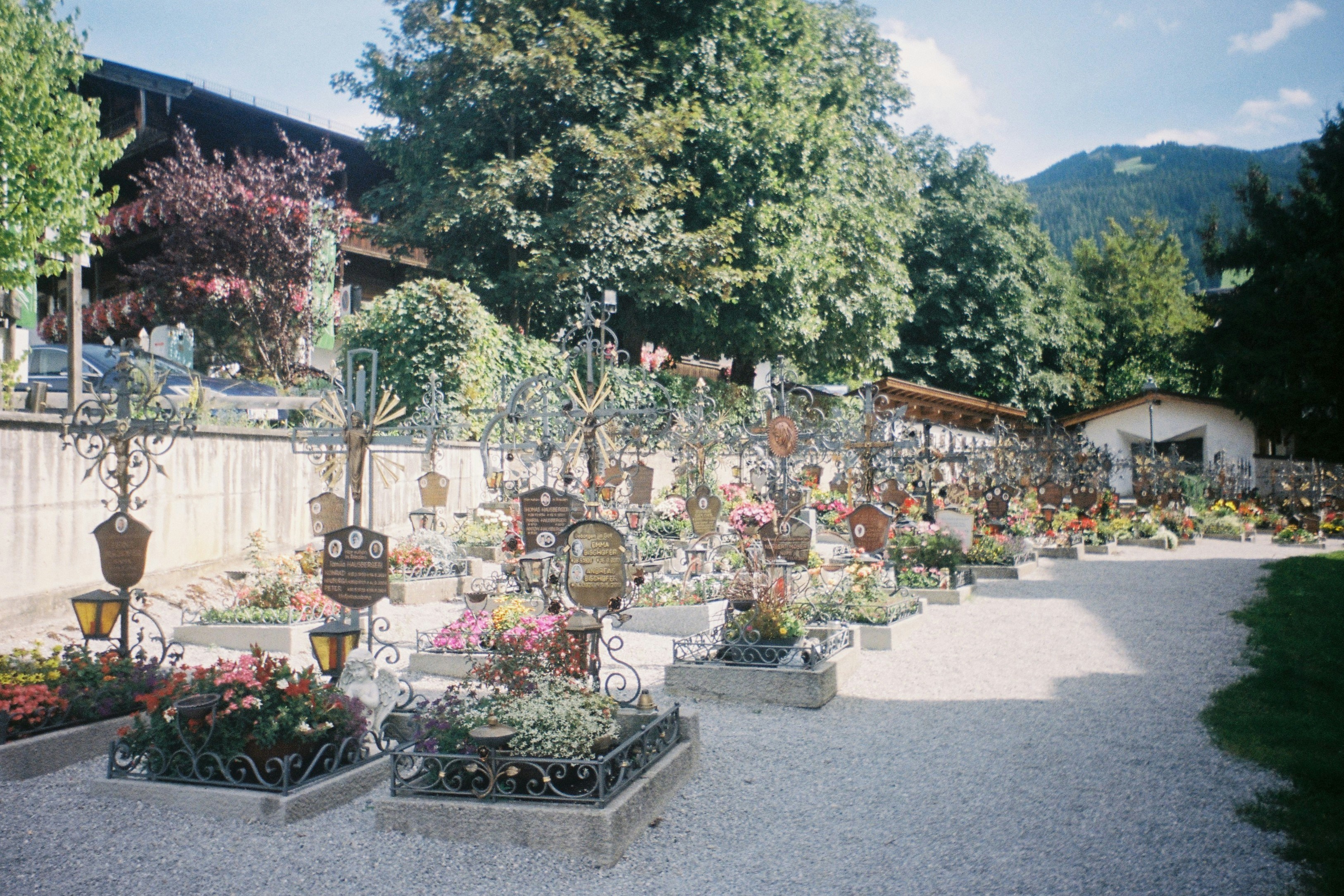Sunny Avenue of Floral Memorials