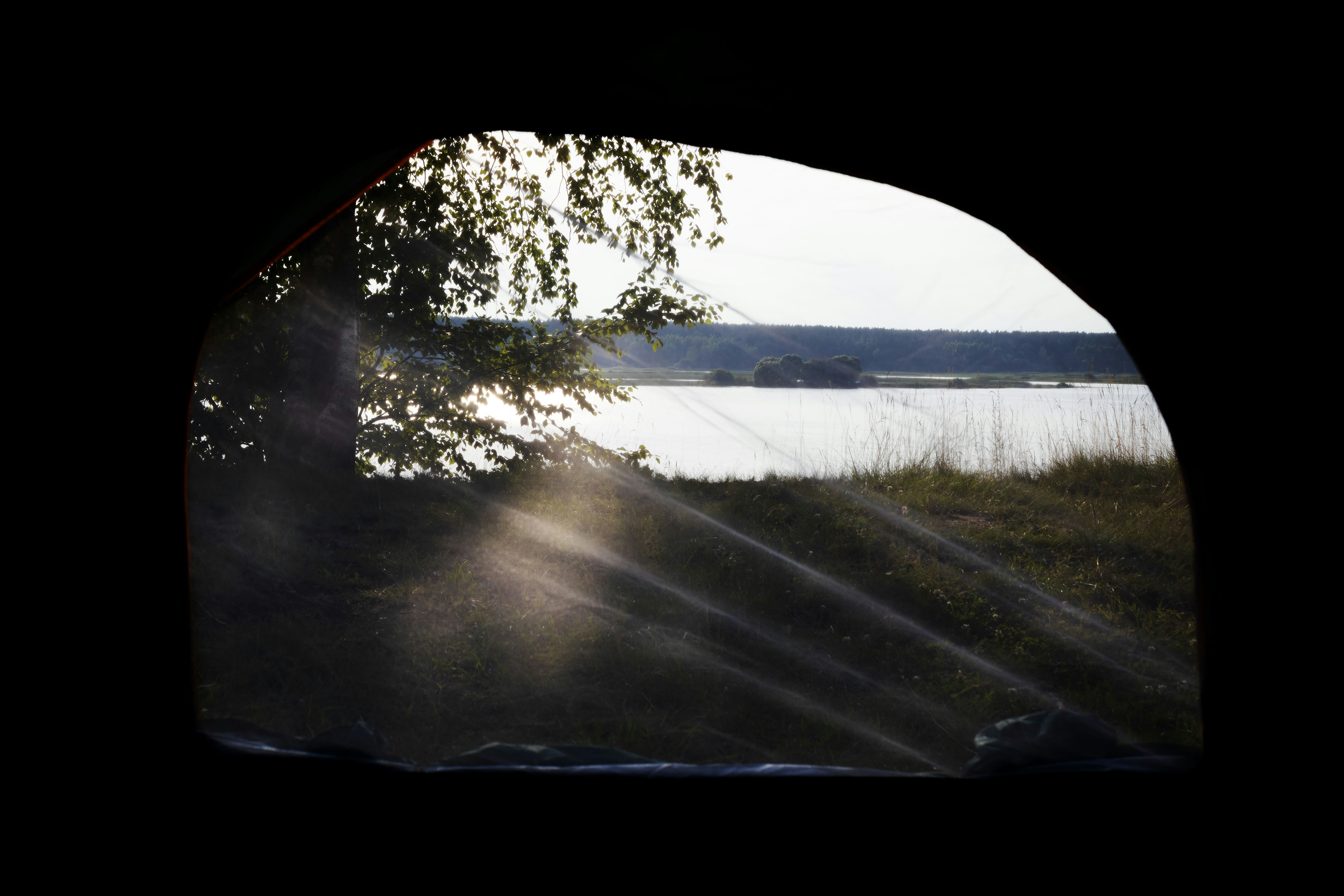 Sunlit shoreline peeking through a dim car-window arch