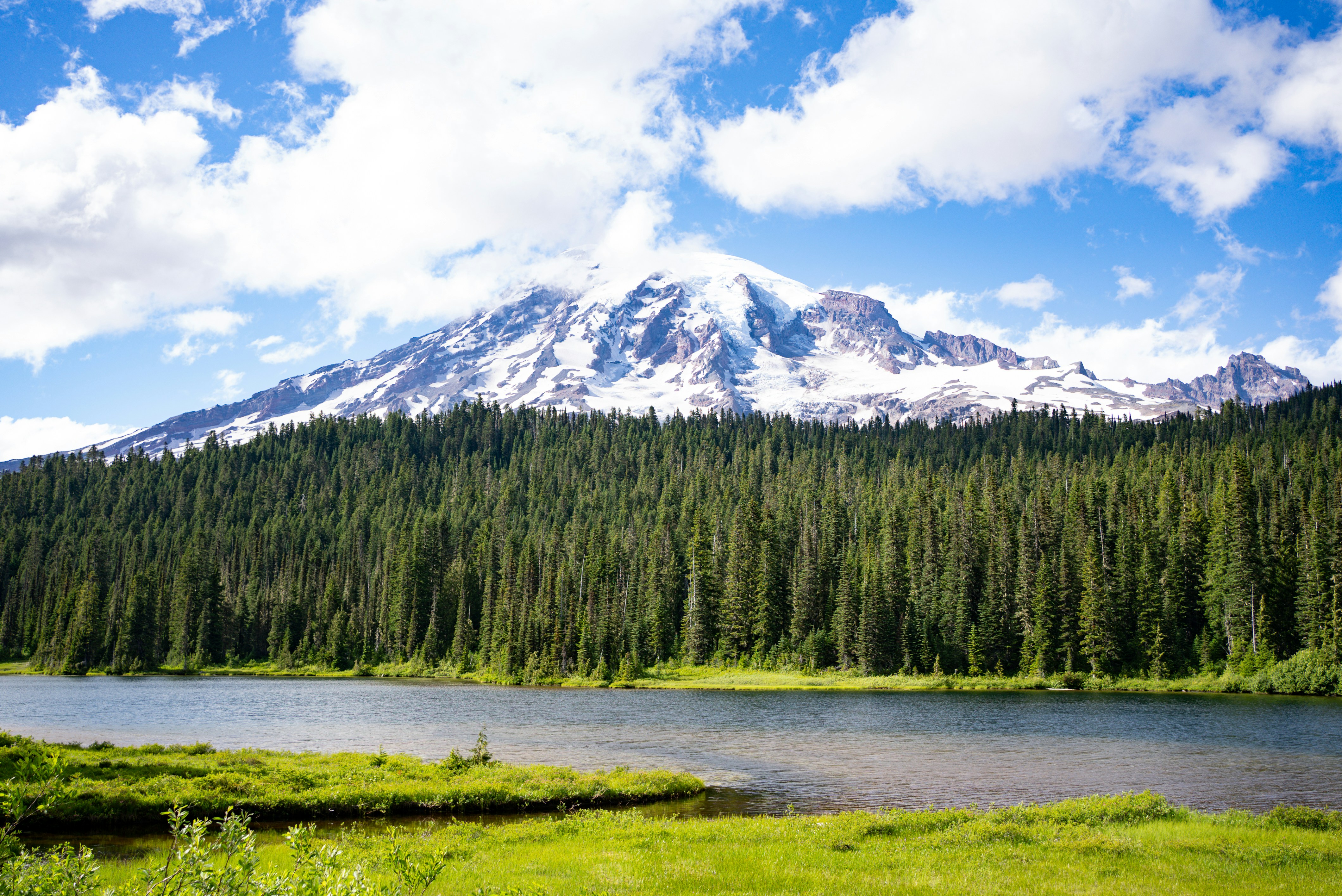 Snow-capped Peak Above a Conifer Sea