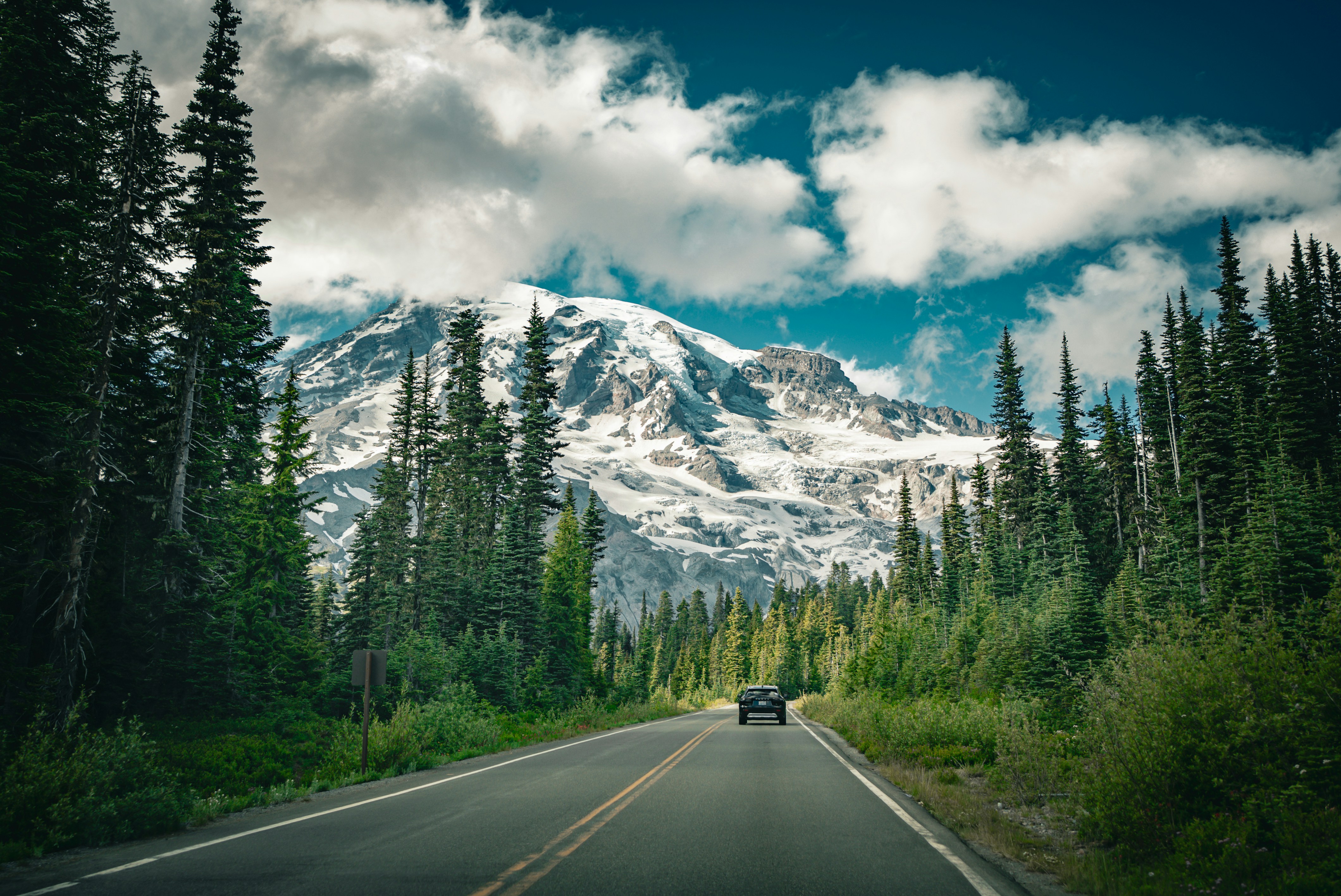 Snowbound Summit on a Forest Highway