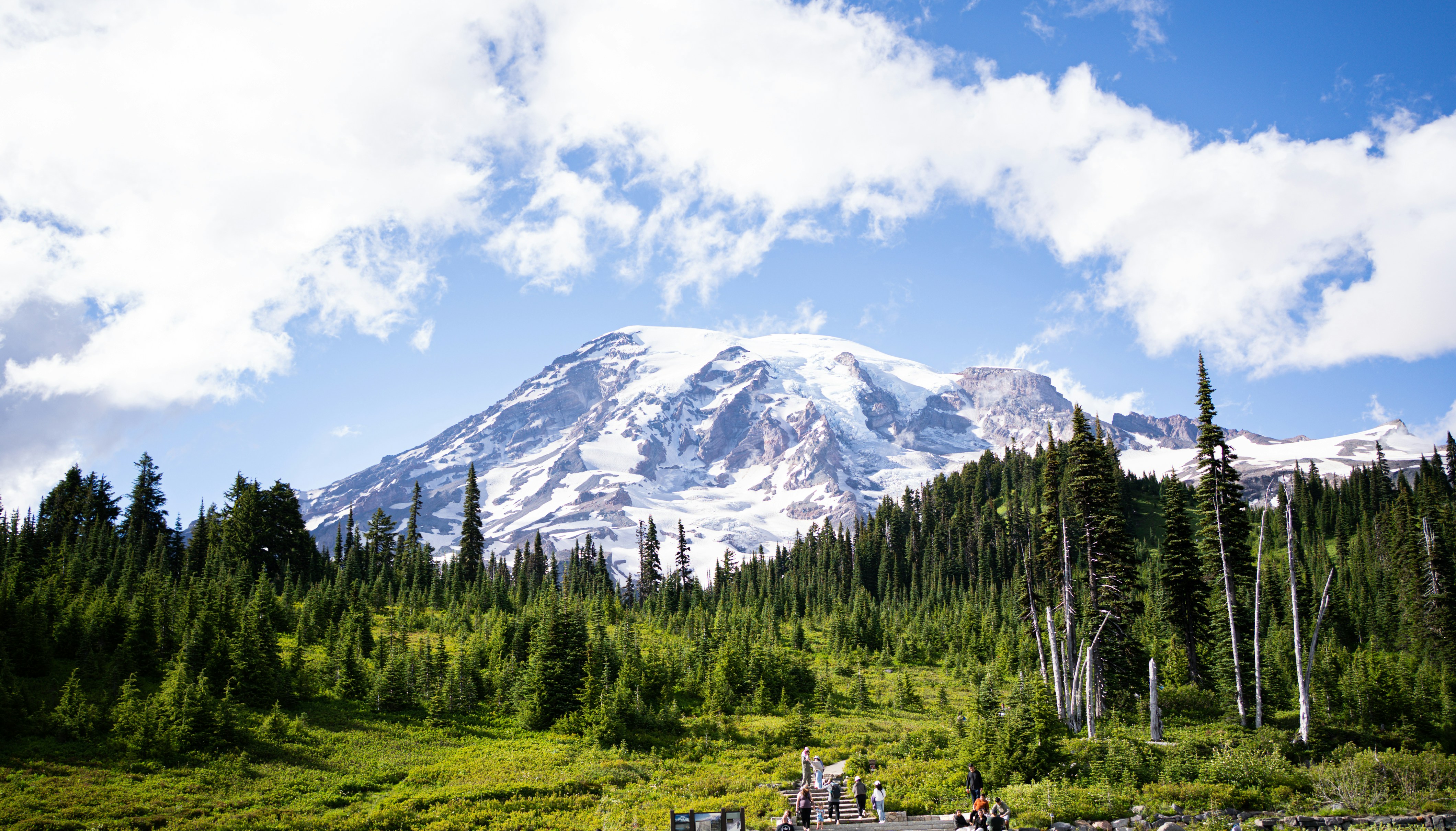 Snow-covered mountain rises above a verdant forest with a wooden boardwalk and hikers in the foreground.