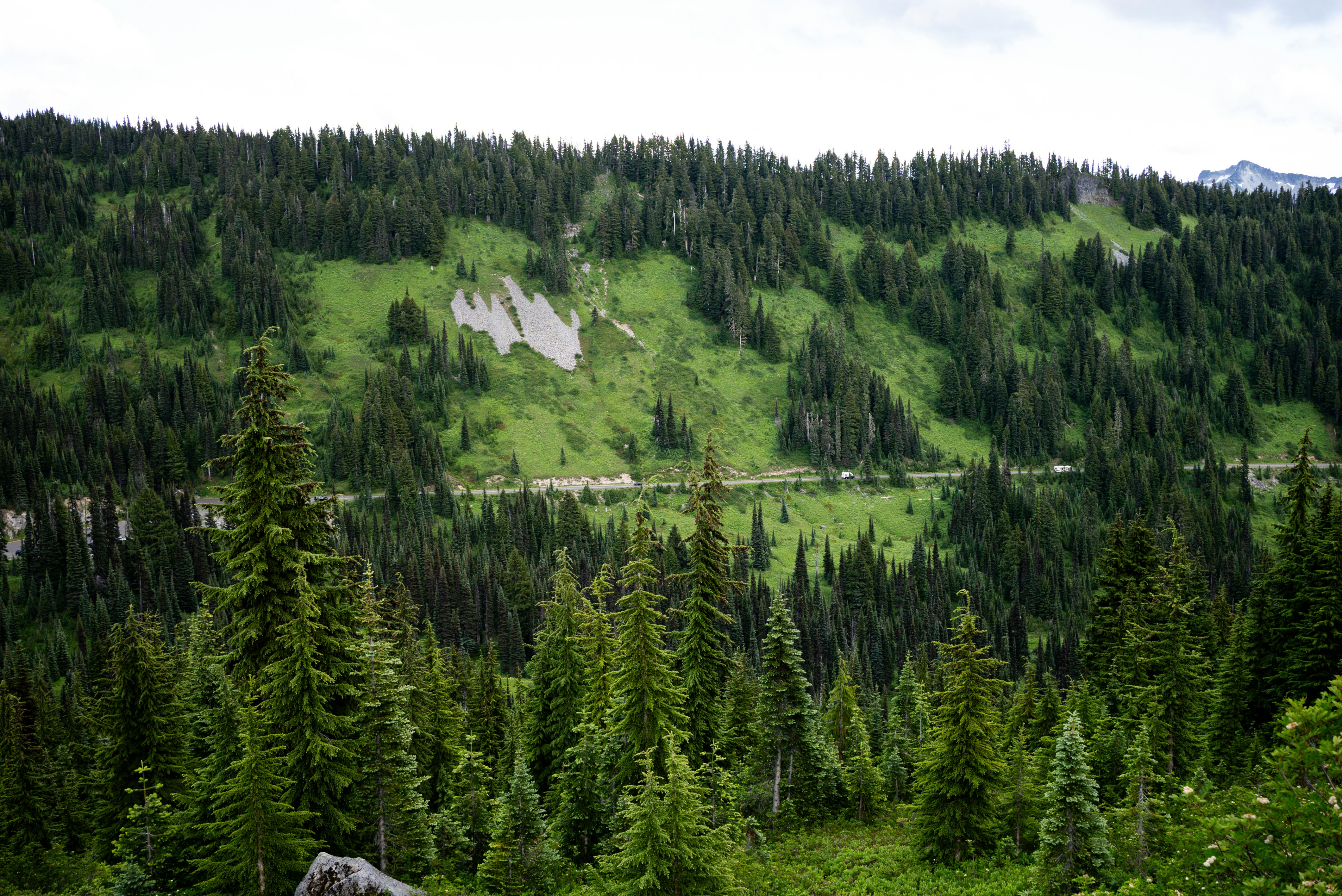 Emerald Basin Amphitheater: Conifer Front and Alpine Slope
