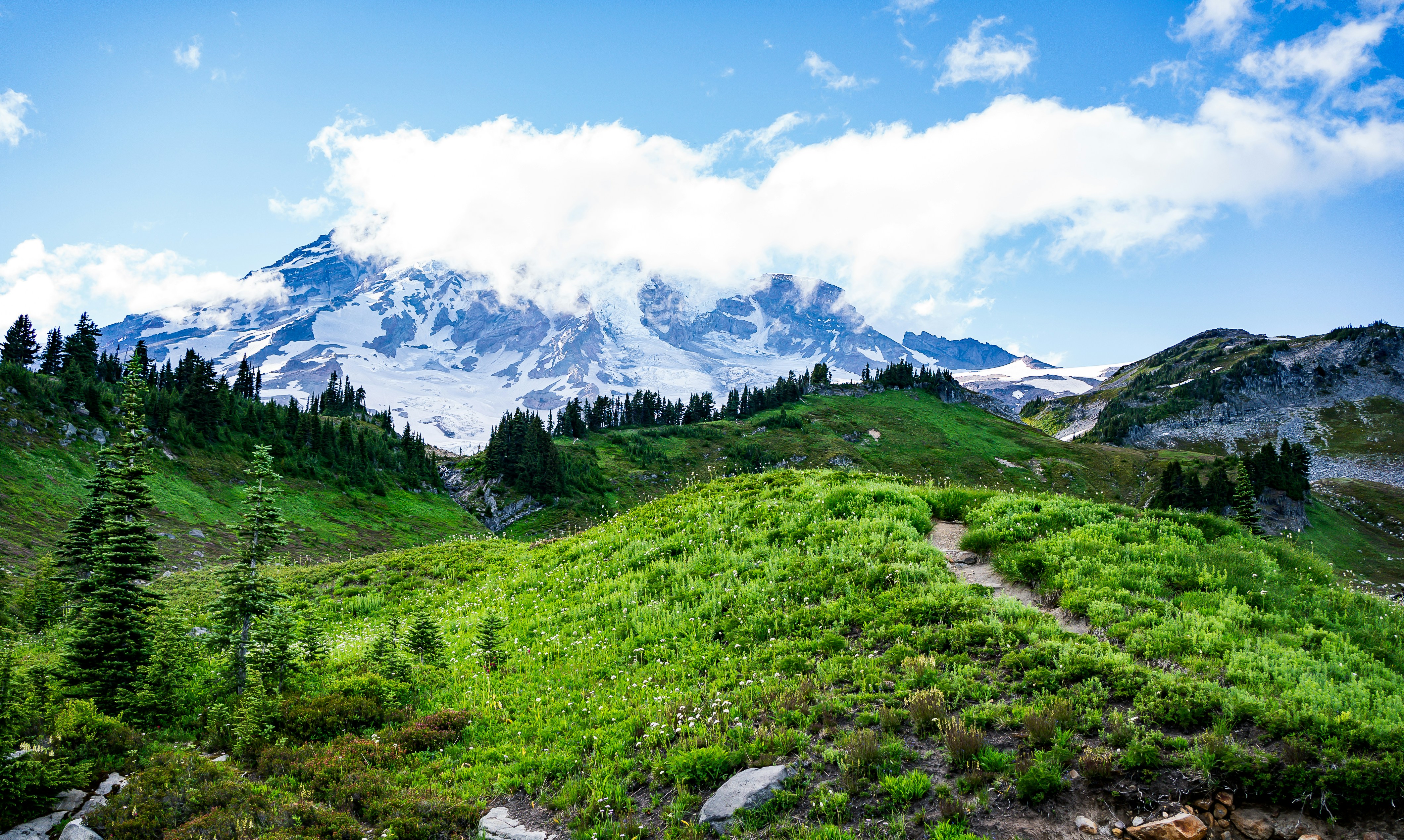 Azure Peaks Over Verdant Trail