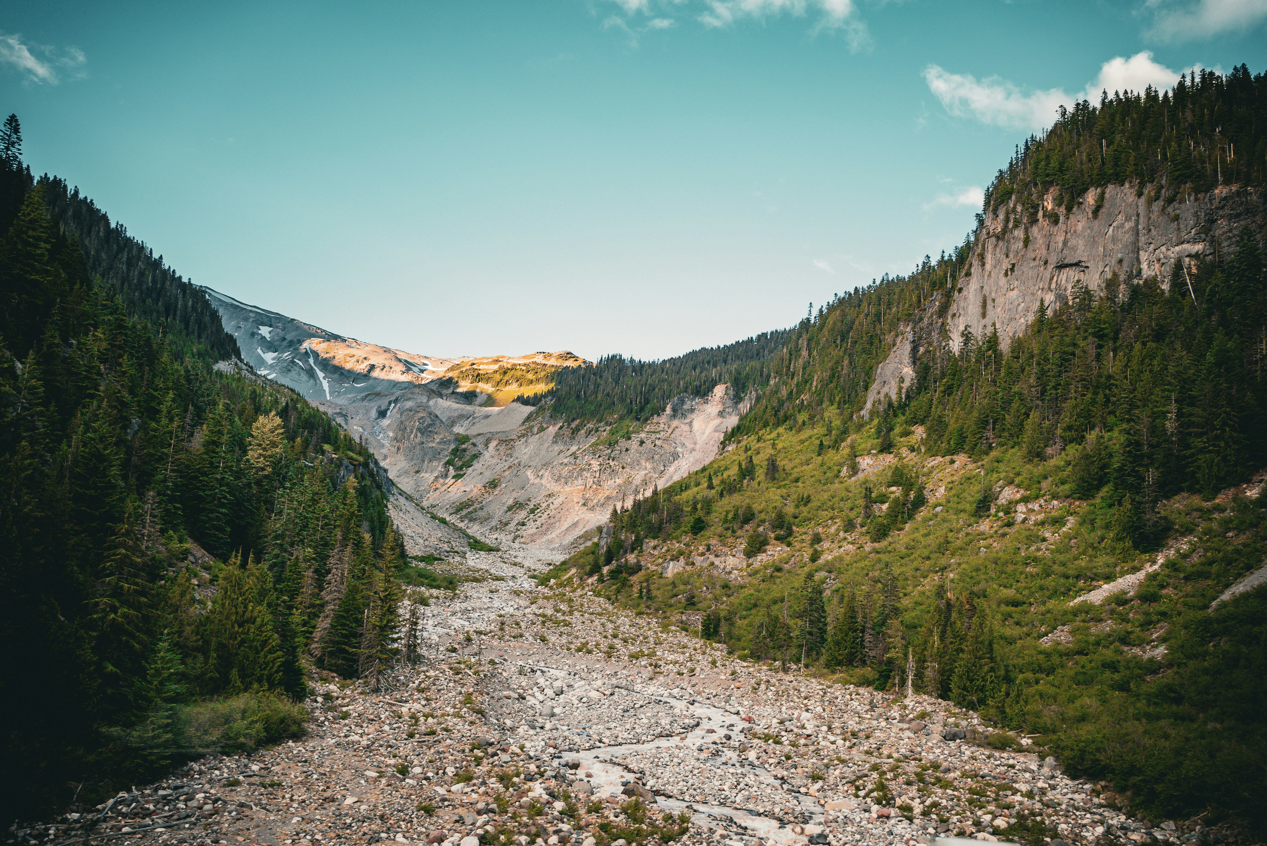 Light at the Snowline: A Valley Wake Surrounded by Pines