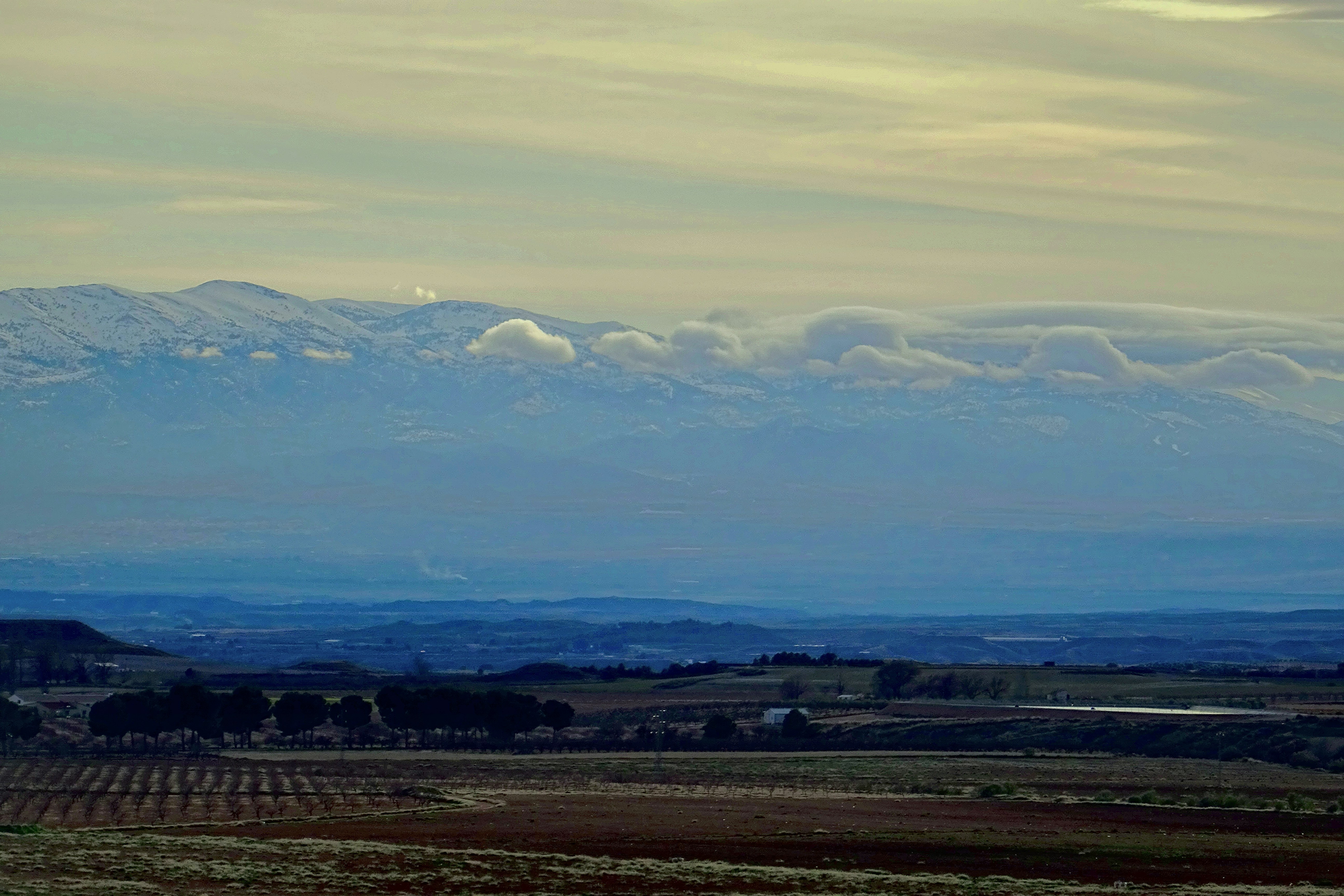 Low-contrast landscape with distant snow-capped mountains and a flat foreground of fields; soft light emphasizes atmospheric depth and color. A tranquil rural scene with a broad horizon.