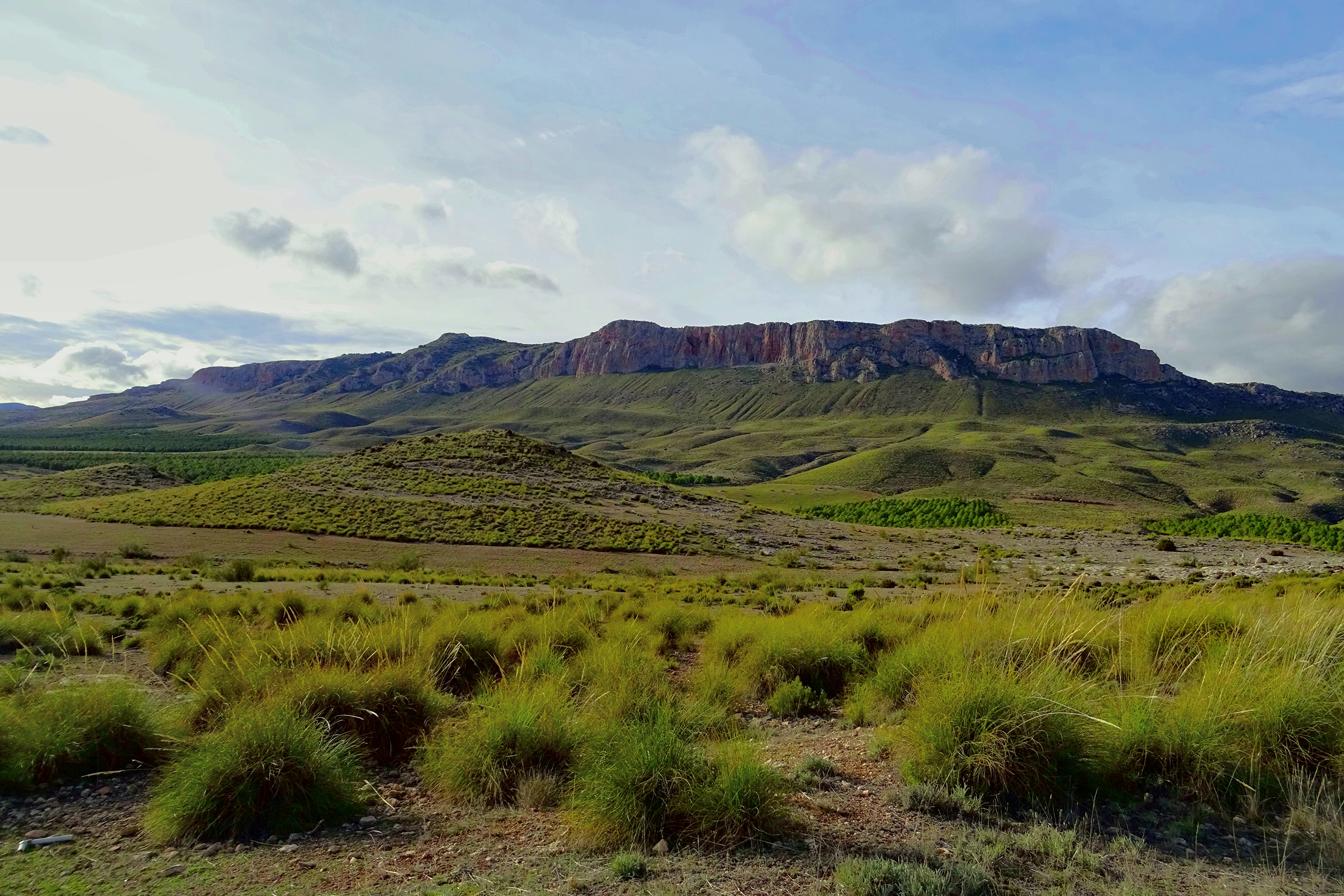 Rolling grassland leads to a distant plateau under a blue sky with scattered clouds. A rugged, elevated mesa forms the horizon, while tufts of grasses populate the foreground.