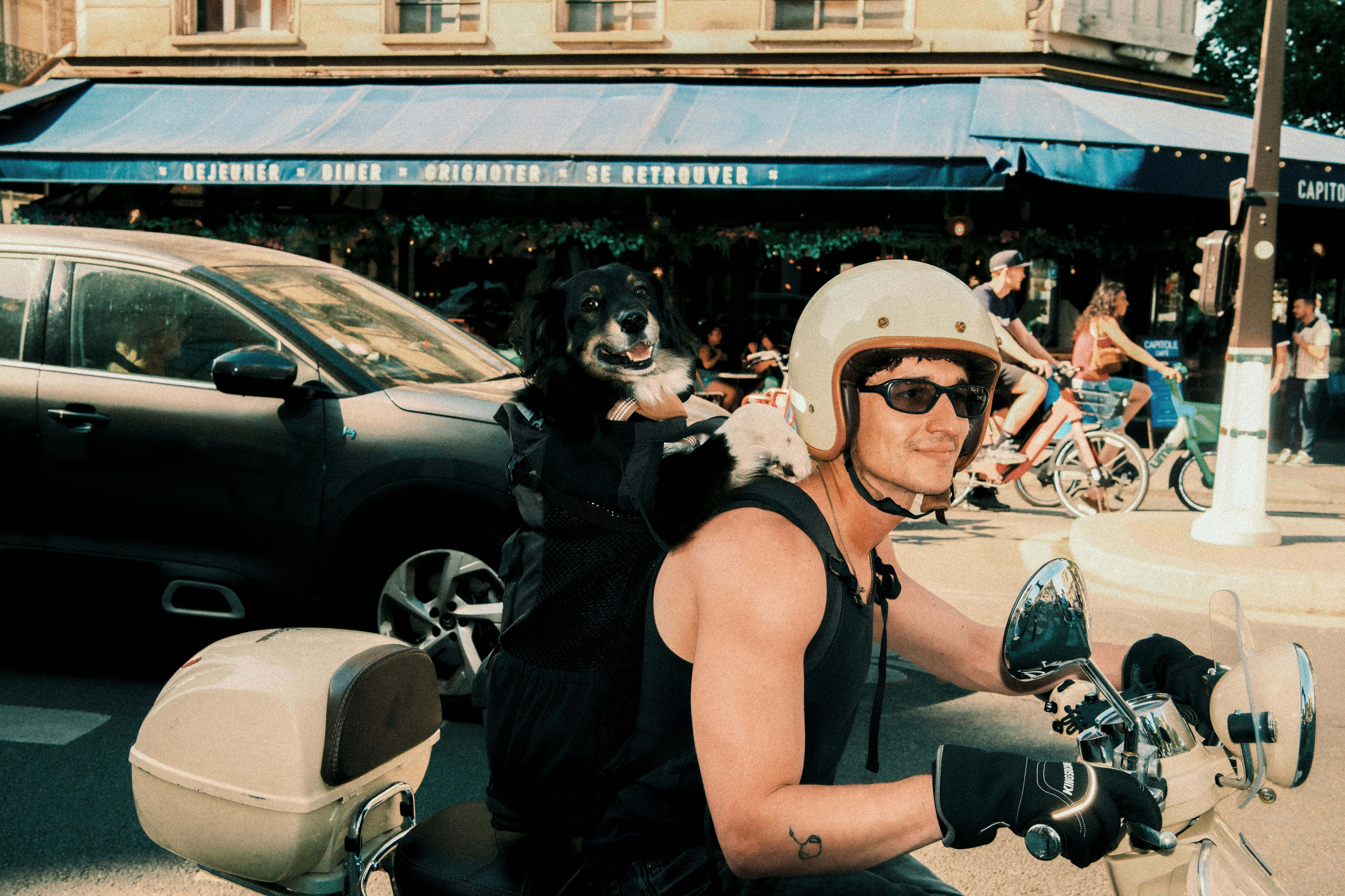 Helmeted Rider and Happy Pooch: A City Street Ride