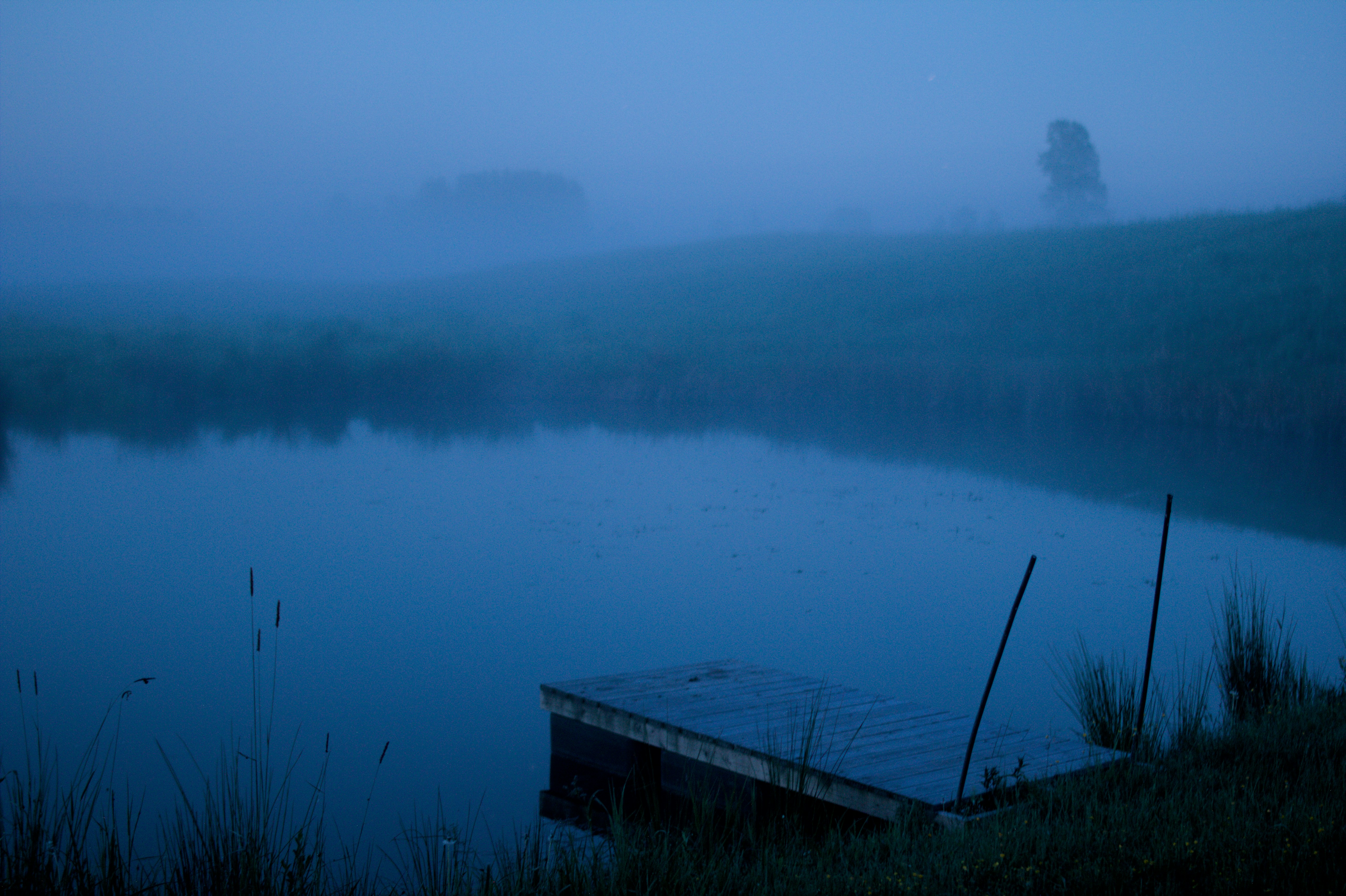Misty Lake Dock at Dusk: A Solitary Quiet