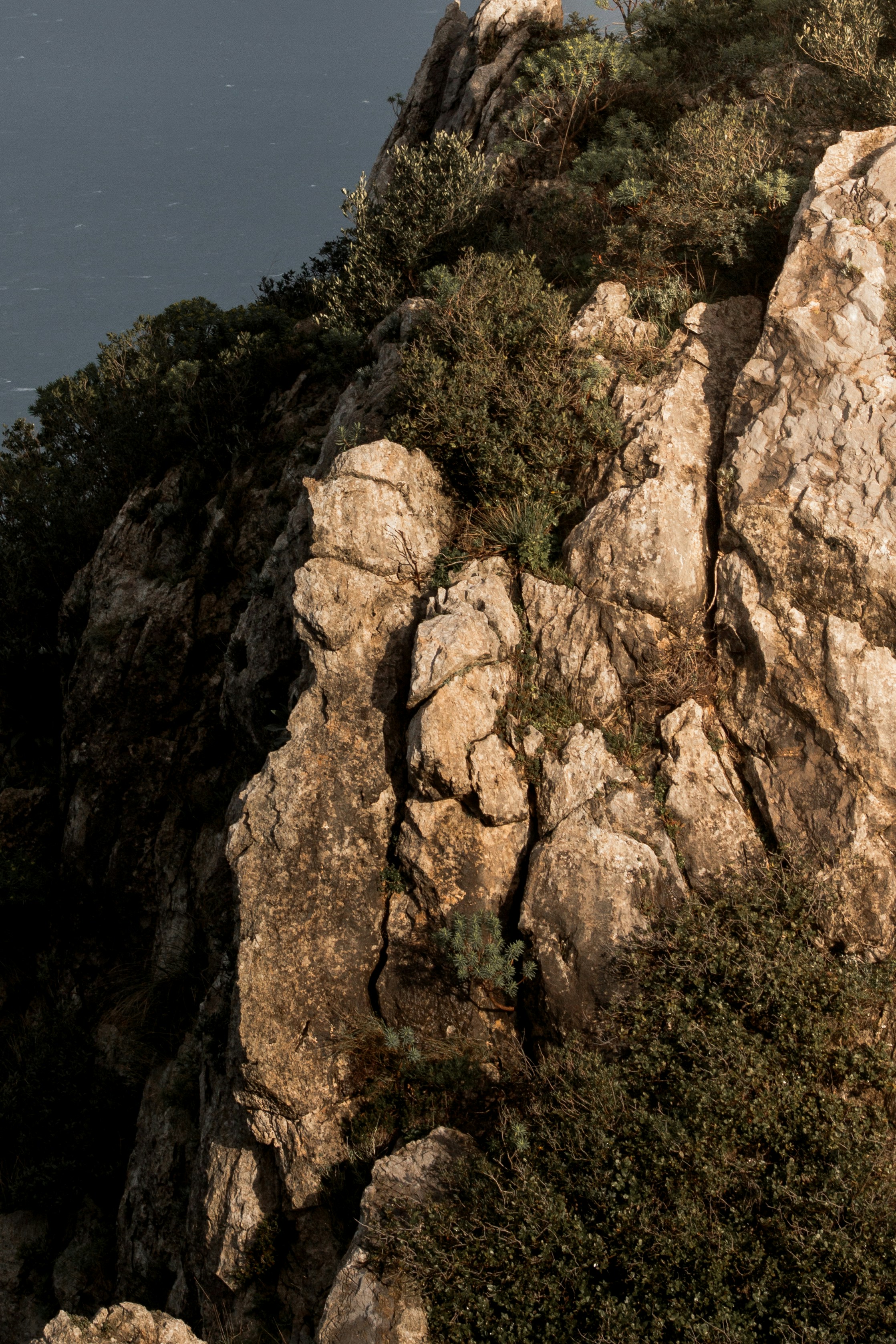 Cliffside Dawn: rugged rock ledges and hardy shrubs clinging to the precipice