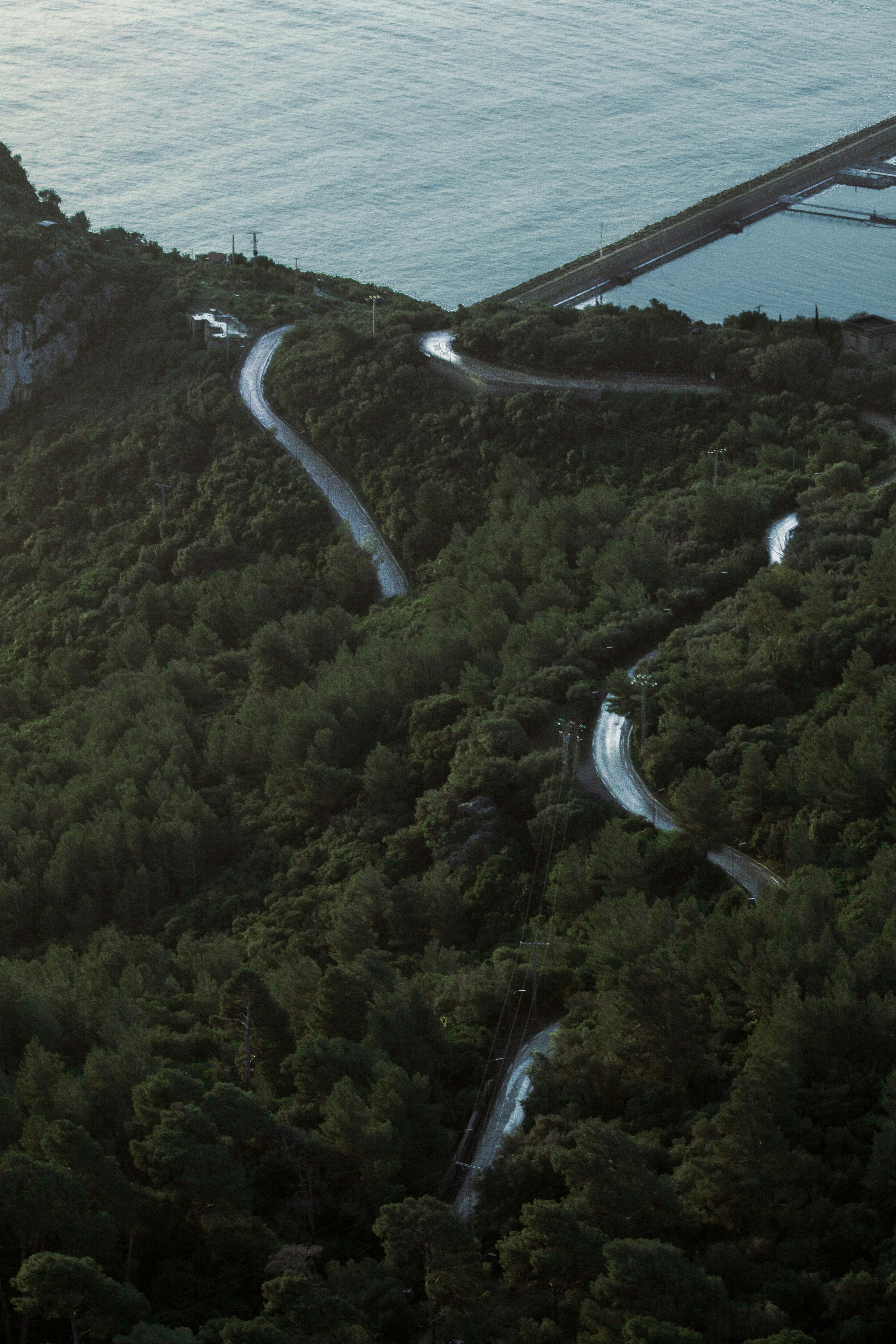 Coastal Switchbacks: A Serpentine Road Through Pine Stairs Down to the Sea