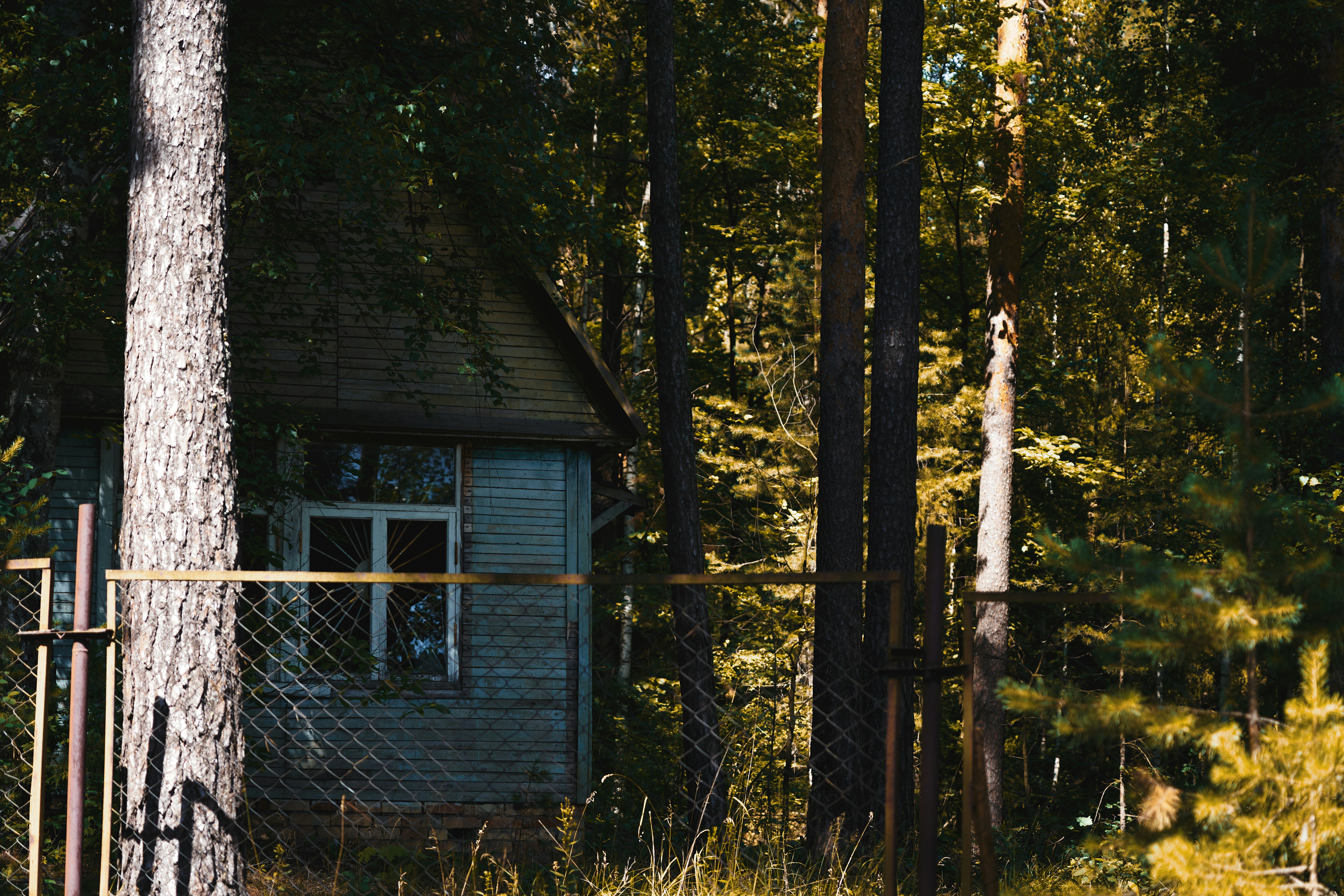 Hidden Cabin in a Quiet Glade