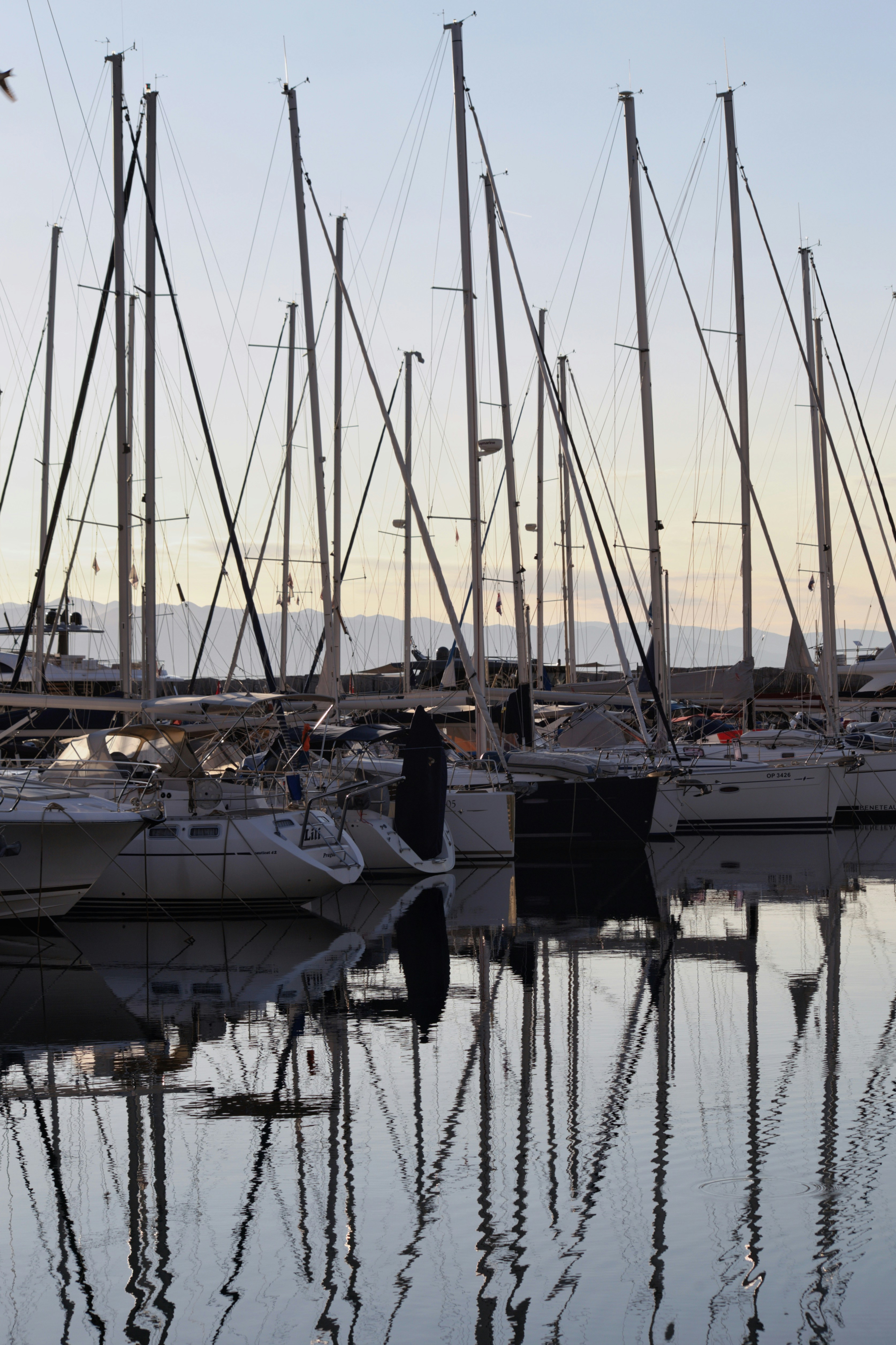Masts in Quiet Reflection: A Marina at Dusk