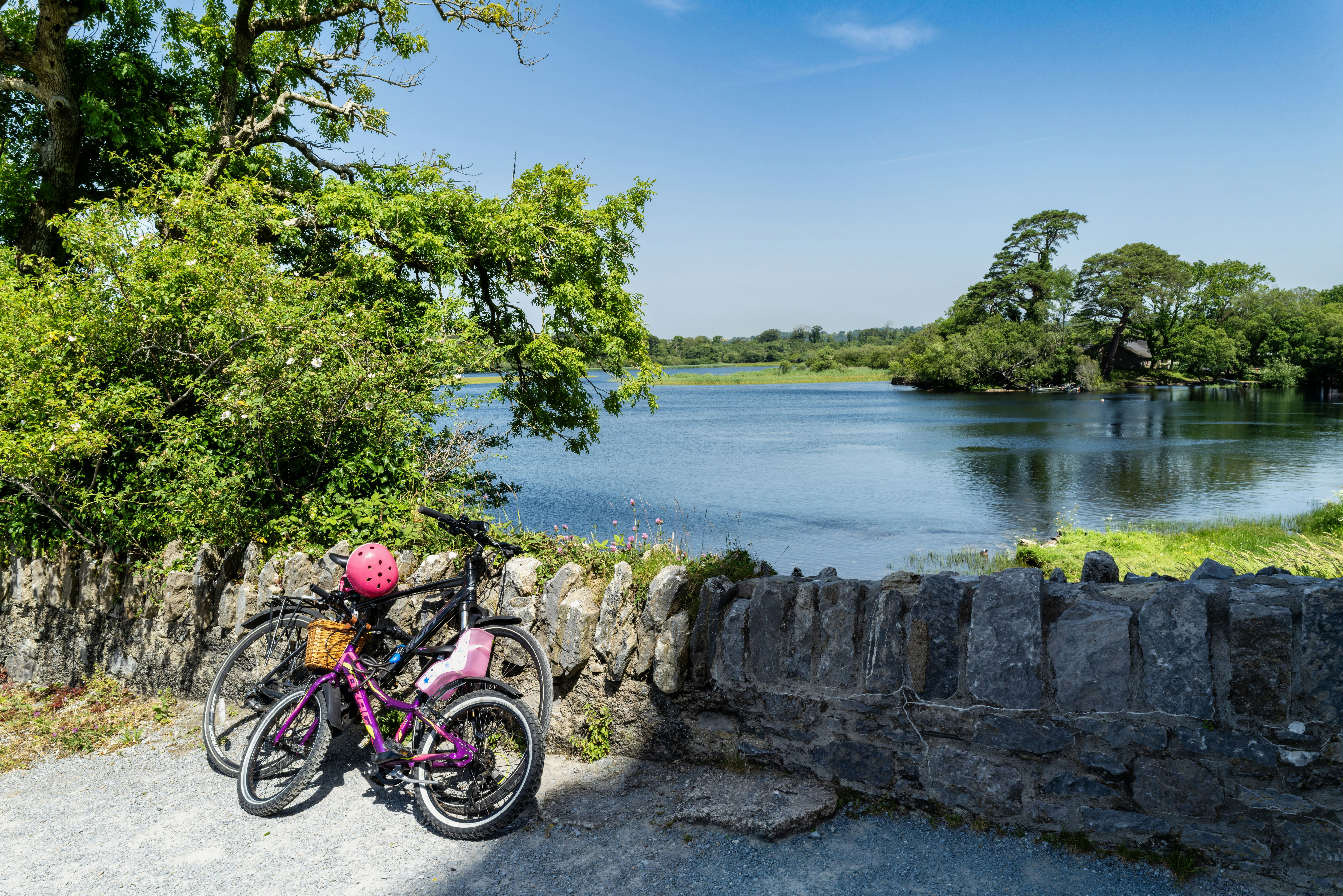 Childhood Wheels by the Water: A Pink Bike Resting Near the Lake
